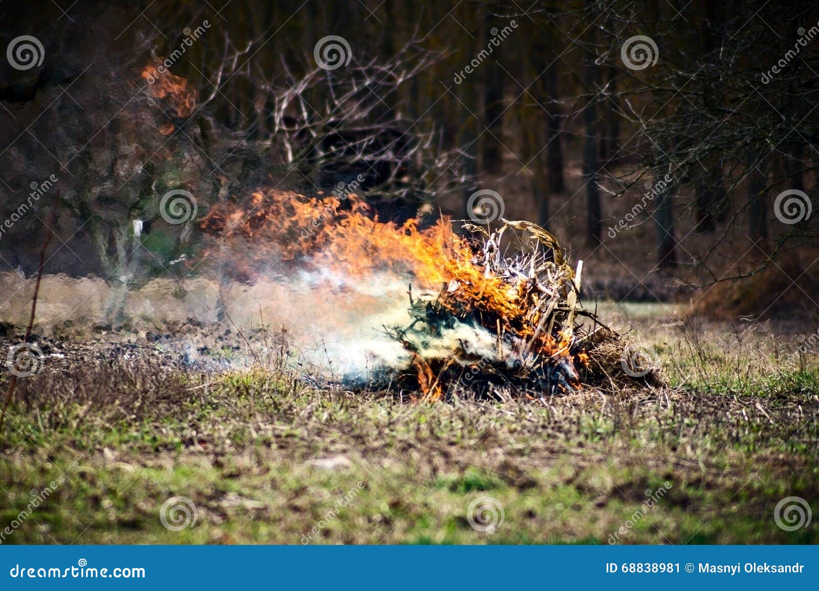 Fire Which Burned Stick and Leaves Background Stock Image - Image of ...