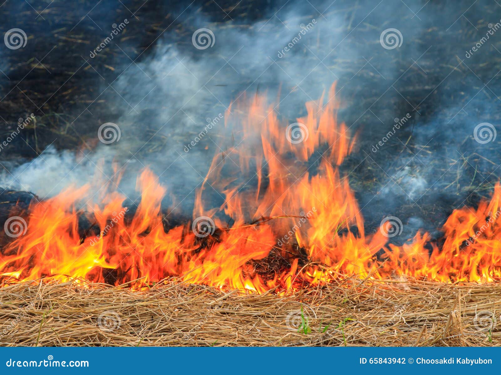 Fire stock photo. Image of burning, frame, exploding - 65843942