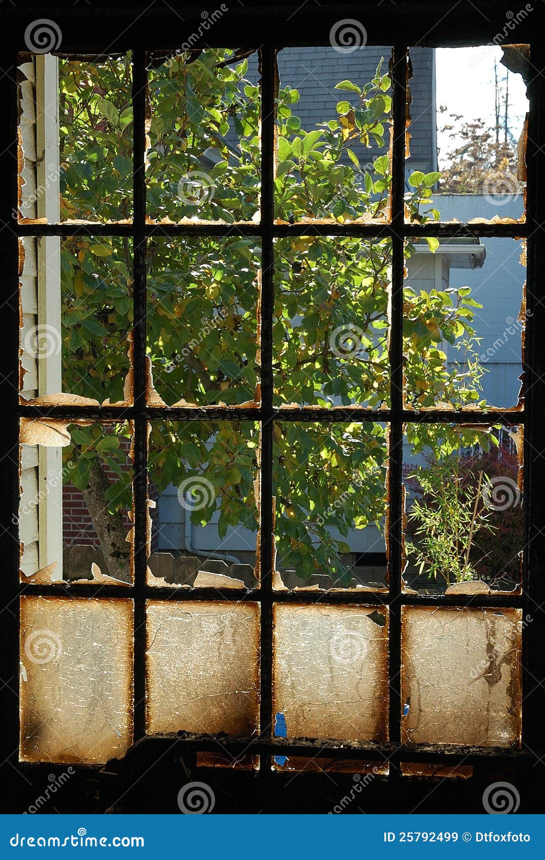 Fire Window stock image. Image of inferno, windows, blaze - 25792499