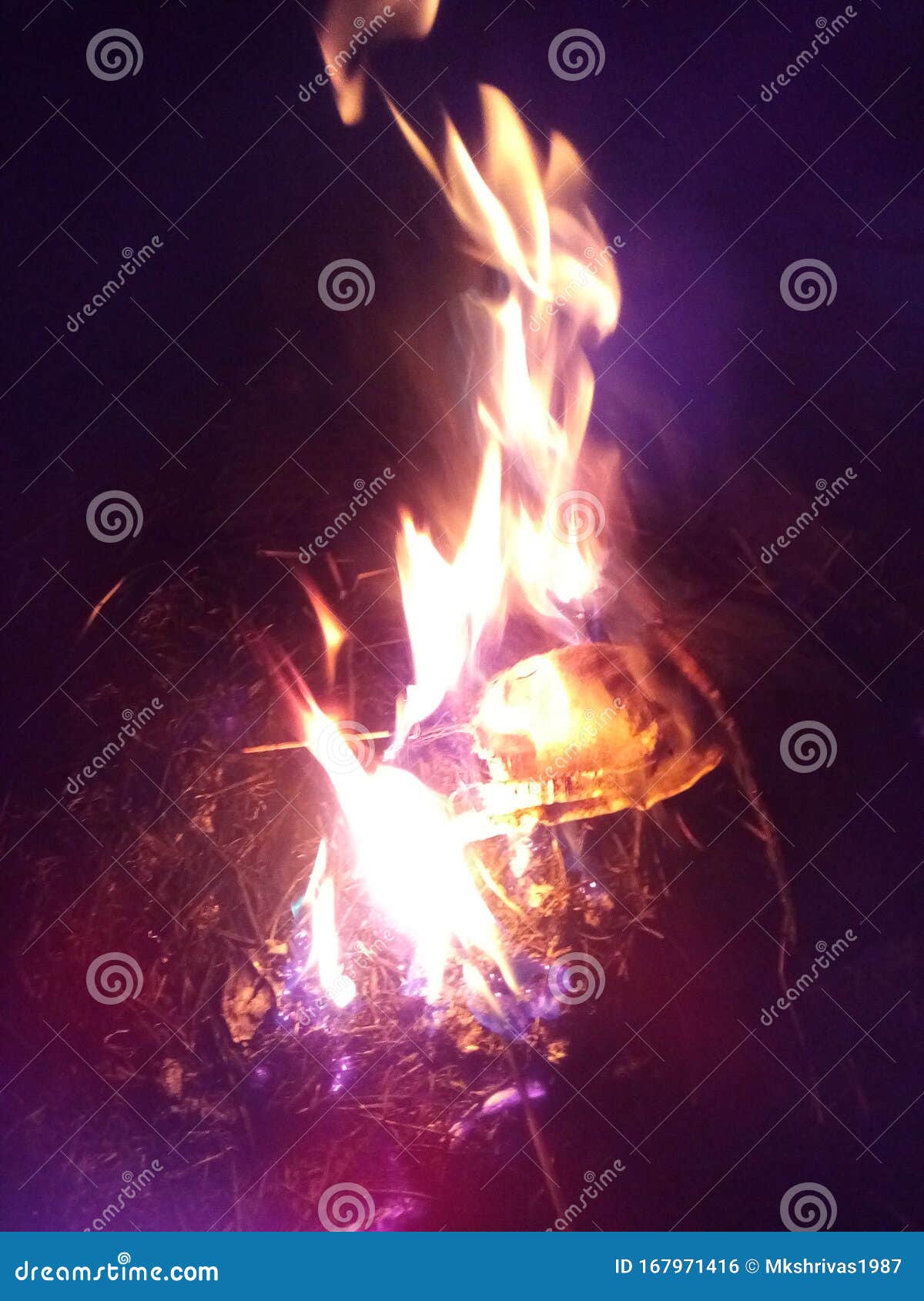 Fire on winter cold stock photo. Image of fire, feather - 167971416