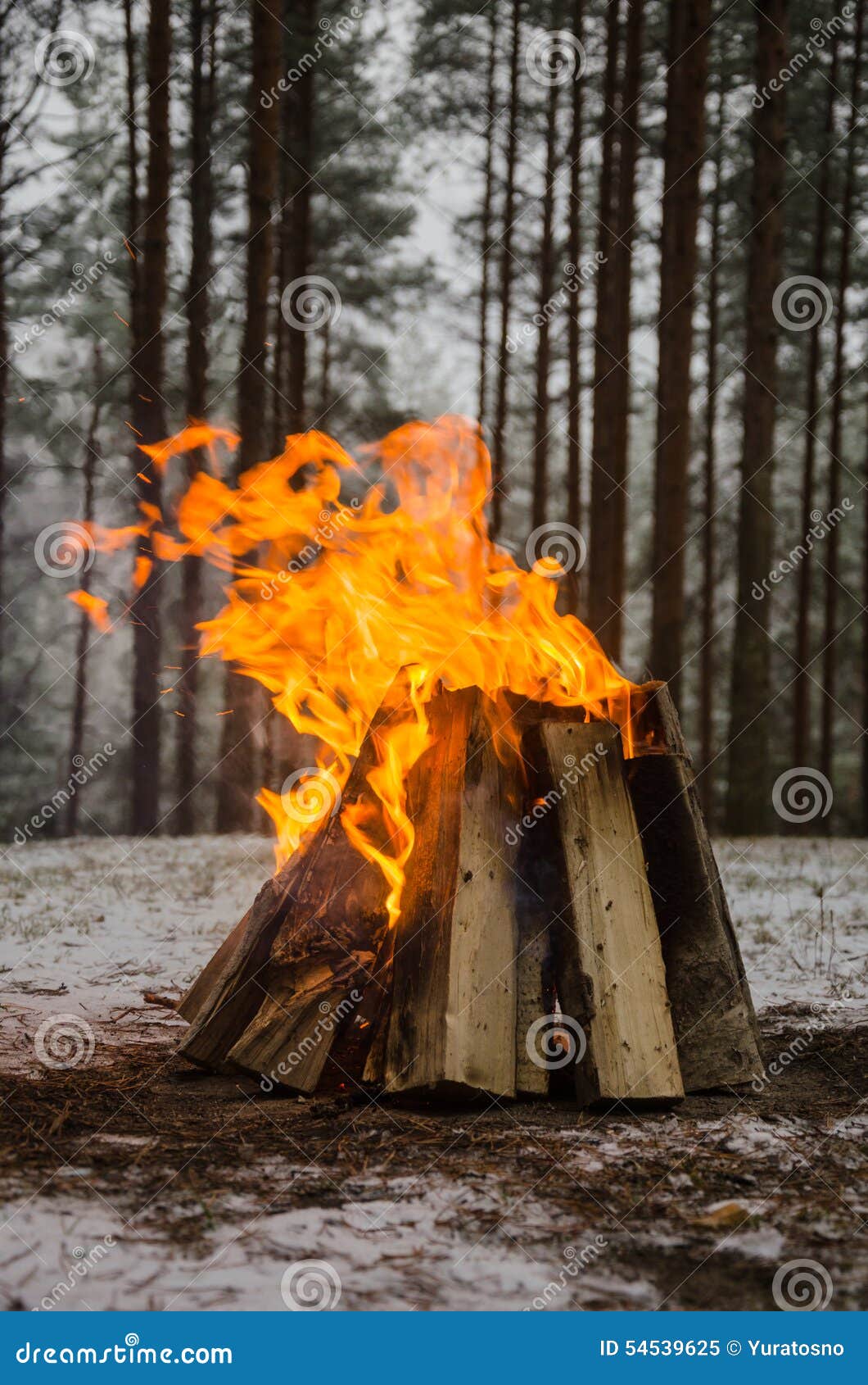 Fire in the winter forest stock image. Image of tourism - 54539625