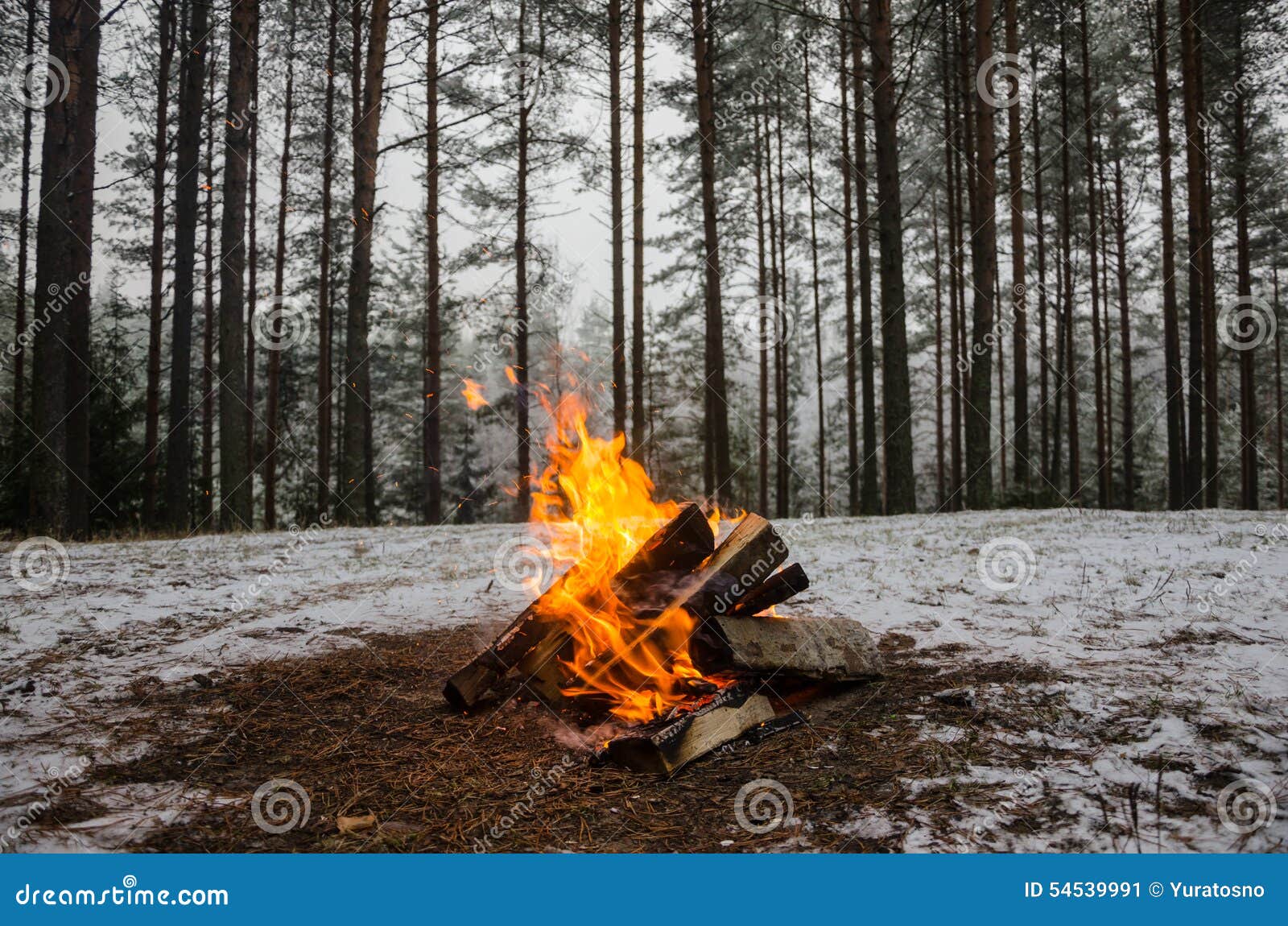 Fire in the winter forest stock image. Image of equipment - 54539991