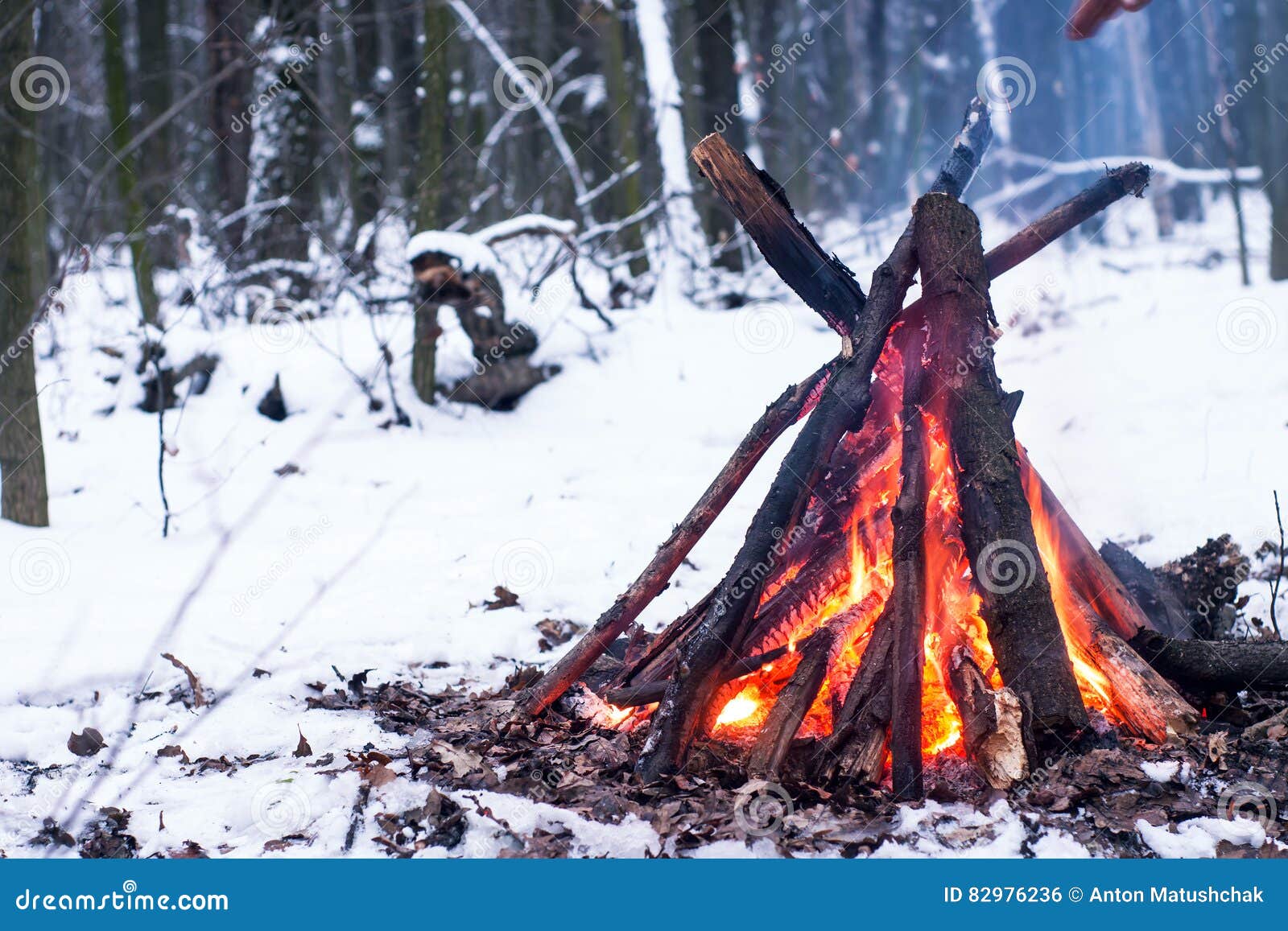 Fire in the winter forest stock photo. Image of light - 82976236
