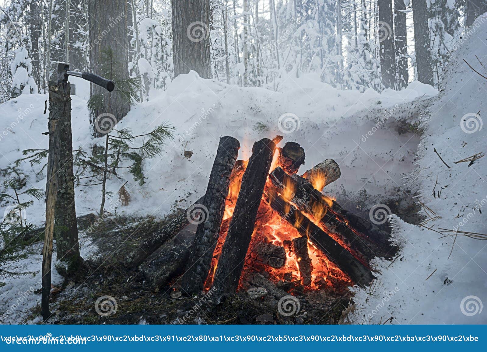 The Fire in the Winter Forest Stock Photo - Image of woods, warm: 48709304