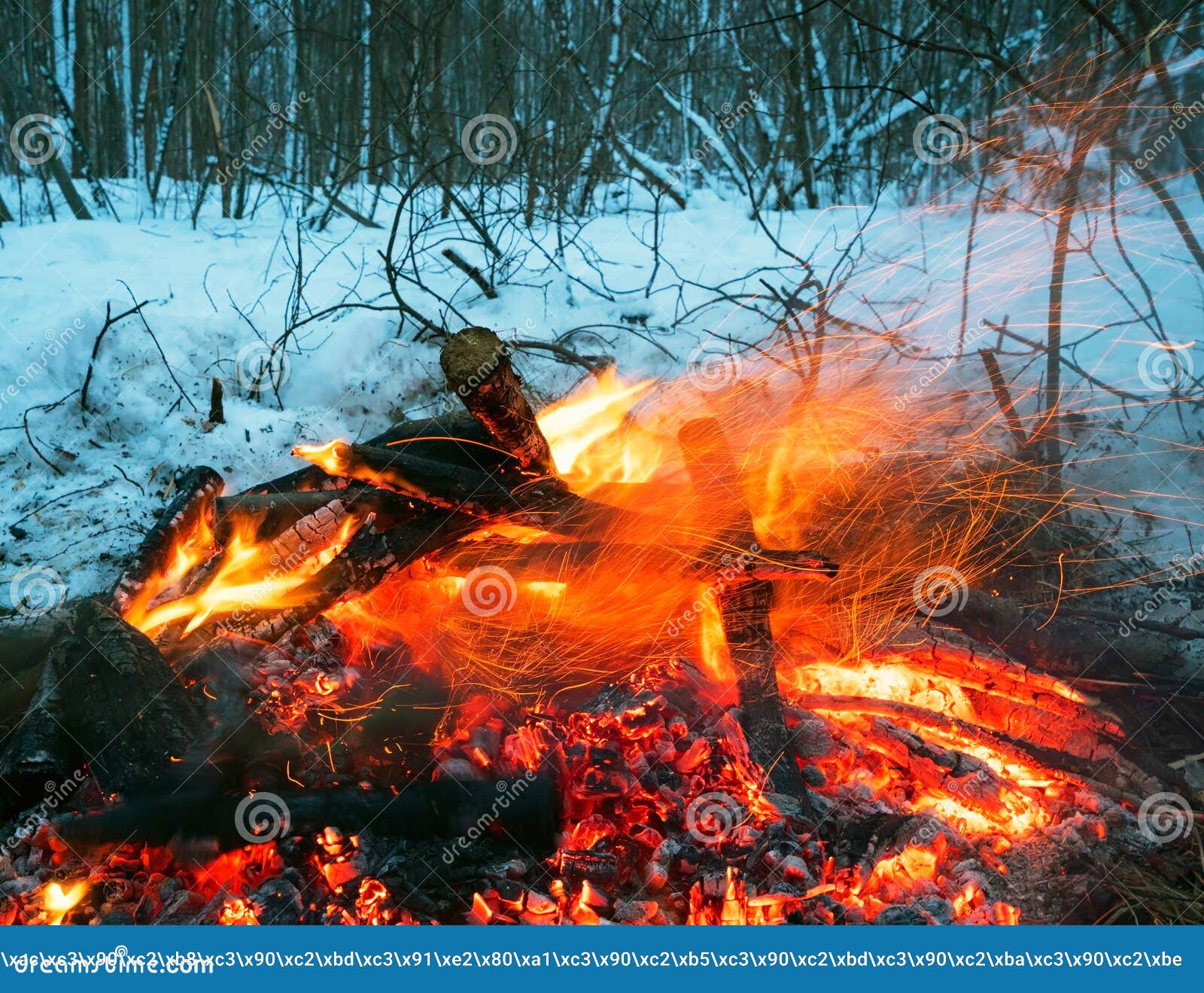The Fire in the Winter Woods .Bright Flame of Fire. Stock Photo - Image ...