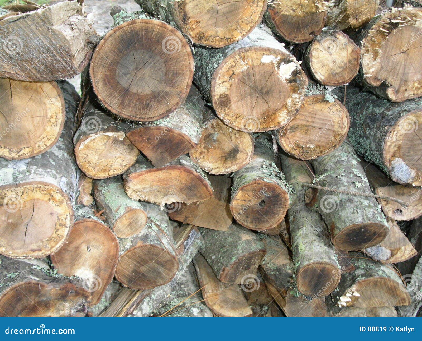 Fire Wood stock image. Image of heat, fire, forest, heating - 8819