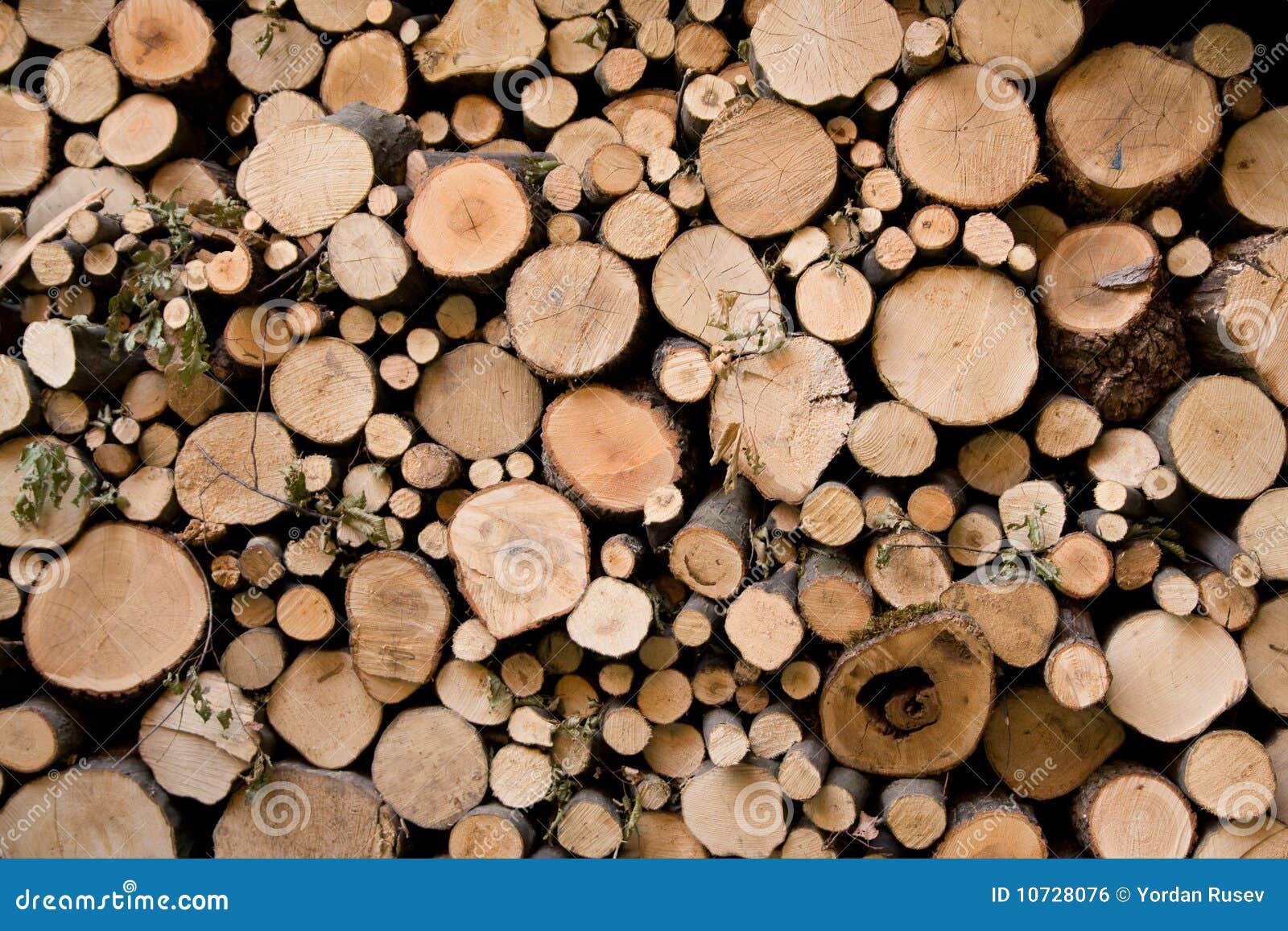 Fire wood stock photo. Image of neatly, collect, beech - 10728076