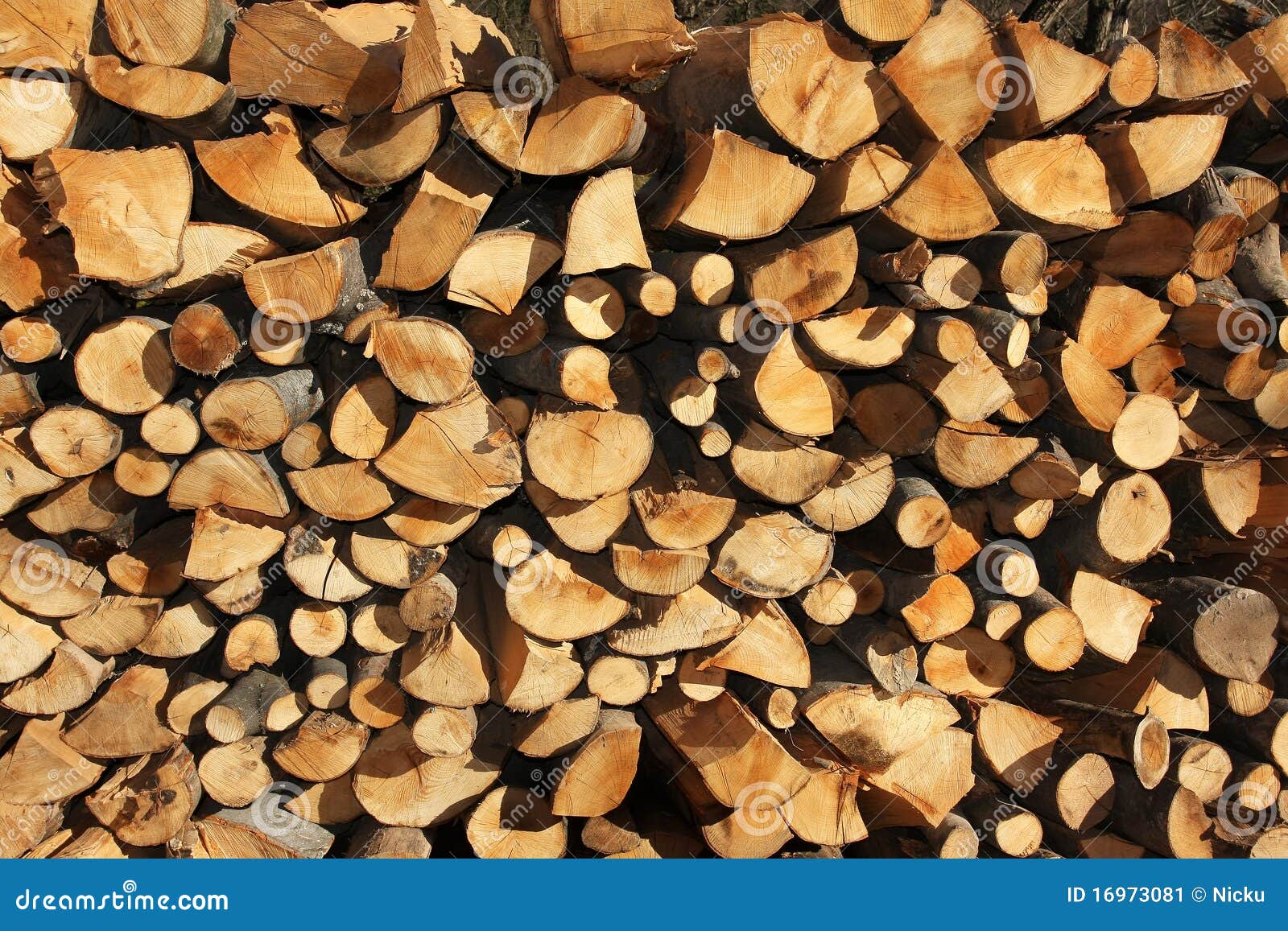 Fire wood stock image. Image of wooden, natural, daylight - 16973081