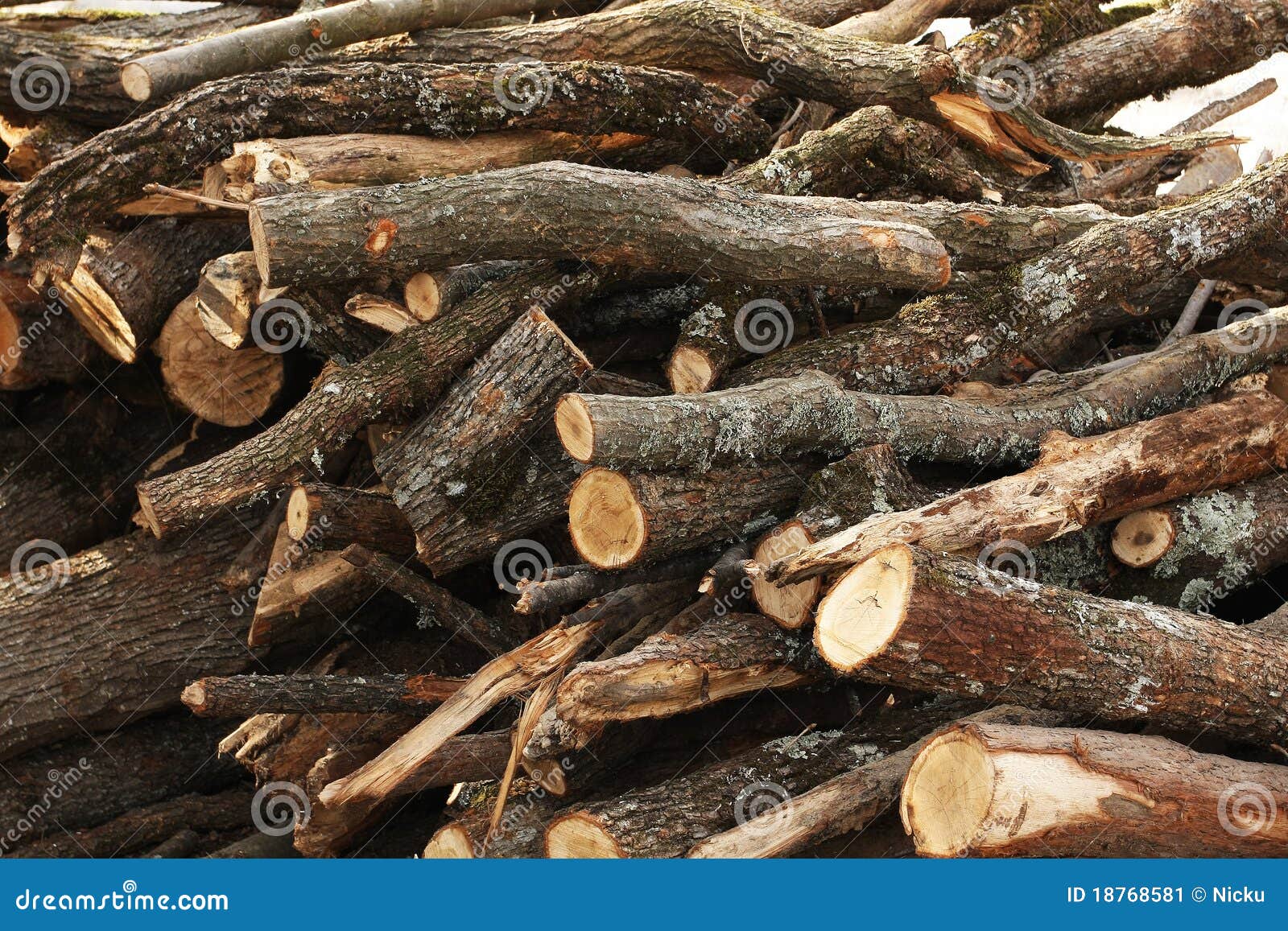 Fire wood stock image. Image of wooden, detail, wood - 18768581