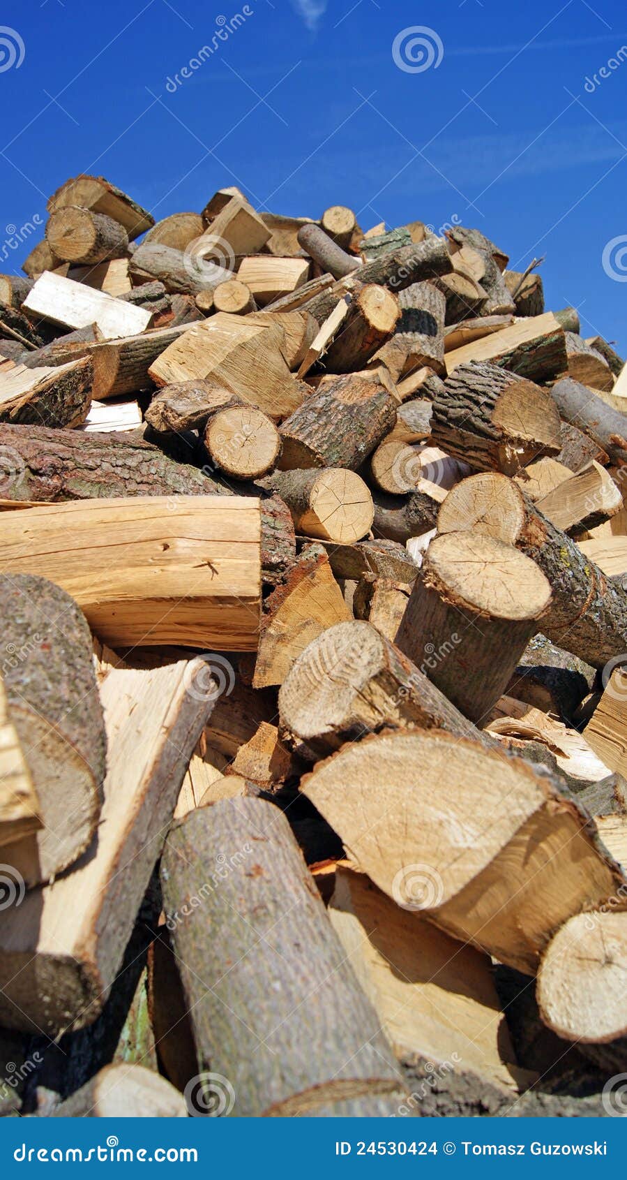 Fire wood stock photo. Image of plant, warm, fire, burning - 24530424