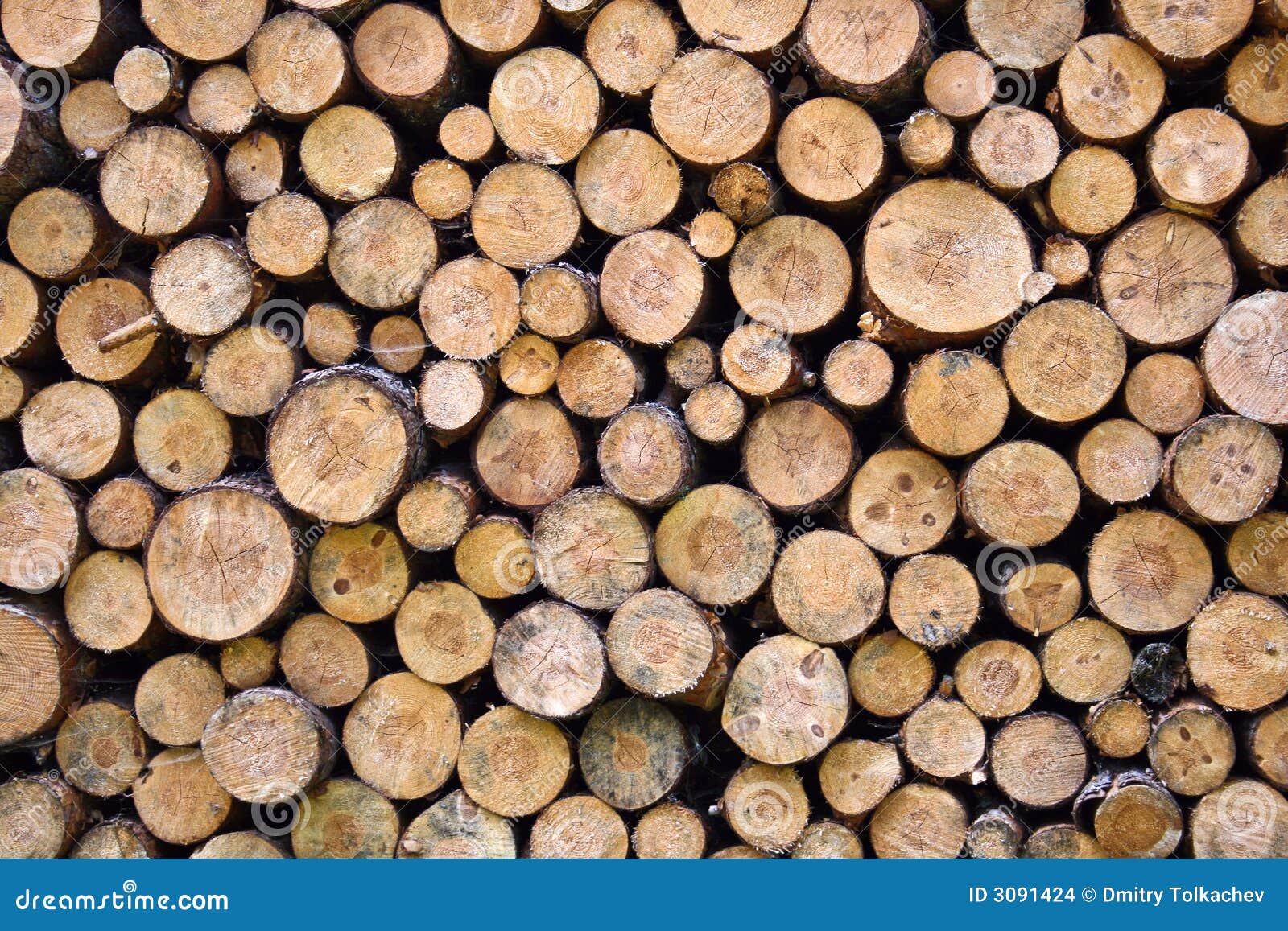 Fire wood stock photo. Image of burning, dead, light, energy - 3091424