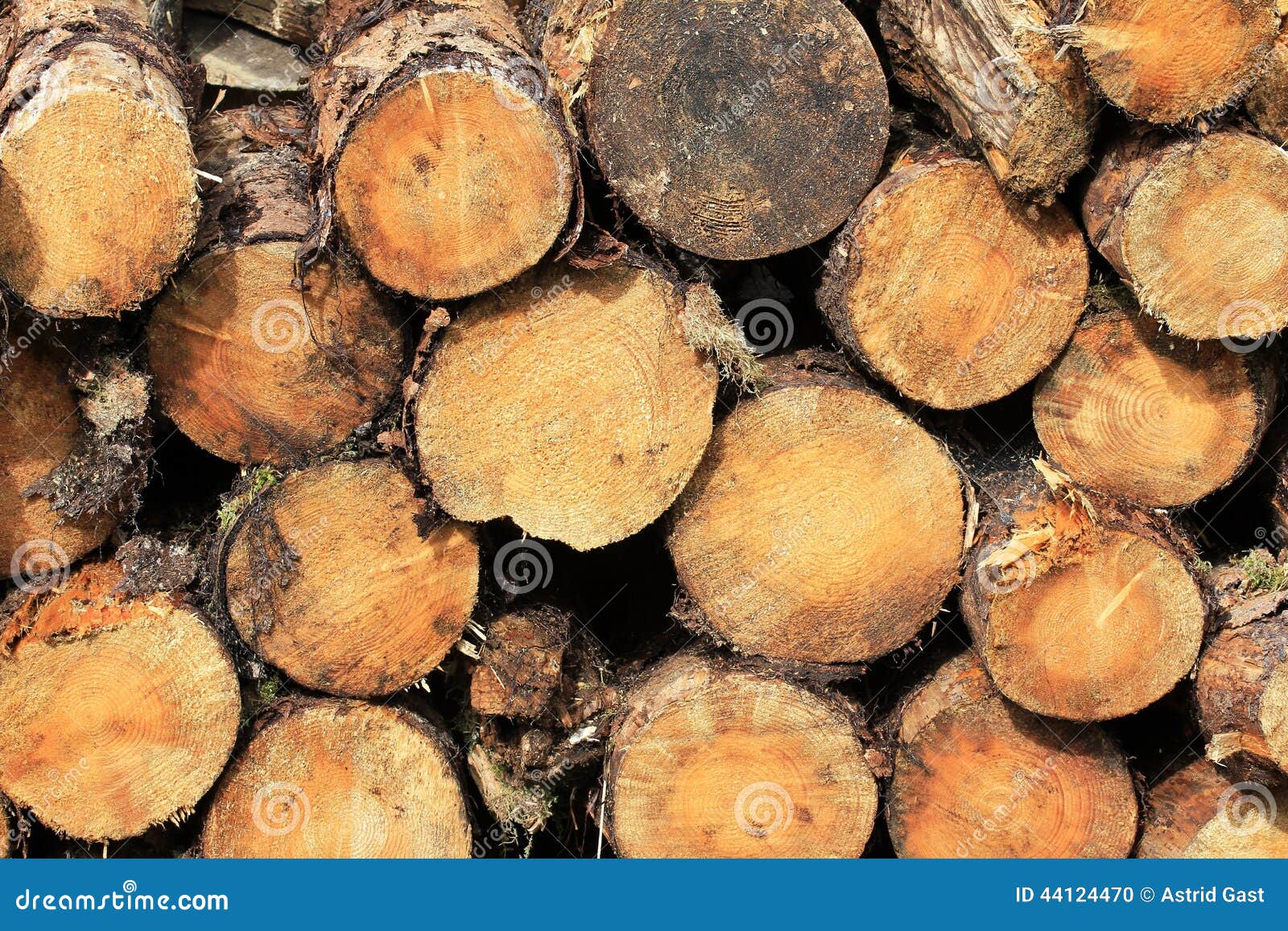 Combustible Wood Pellets Royalty-Free Stock Image | CartoonDealer.com ...