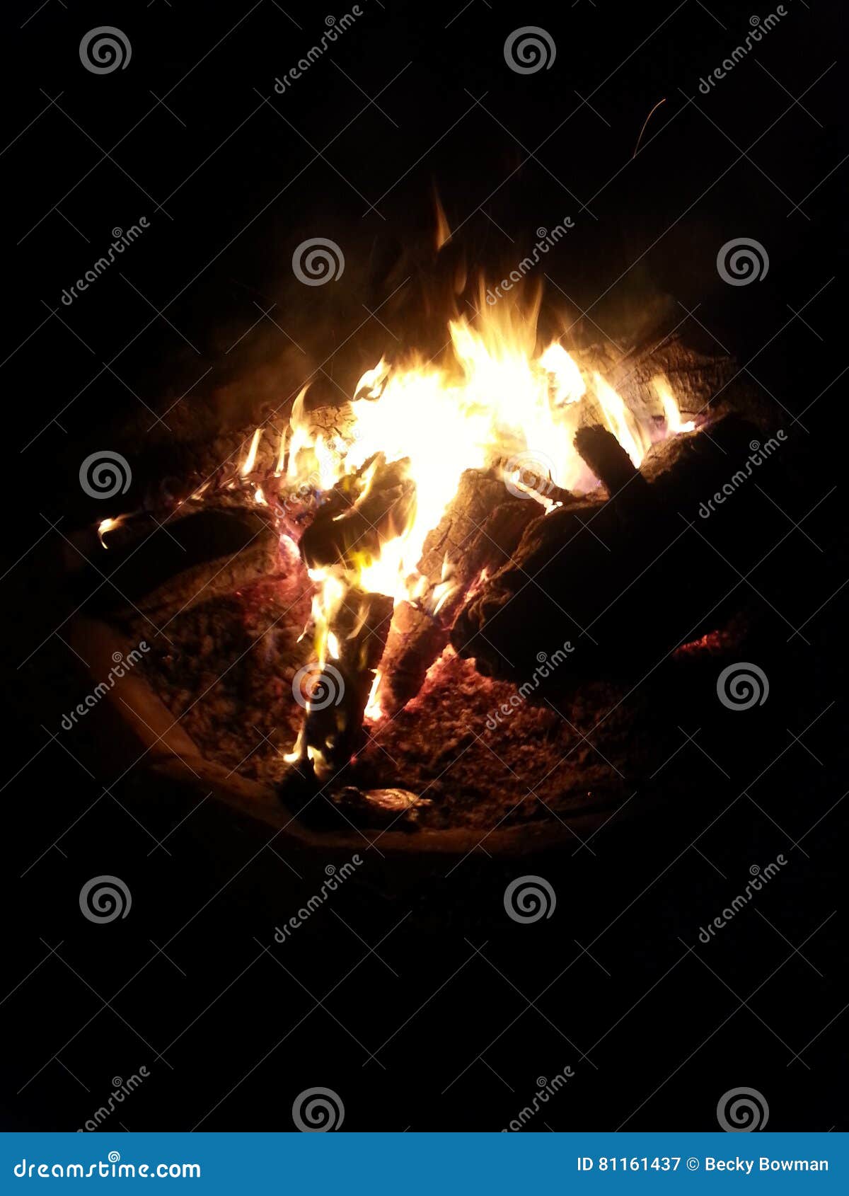 Fire stock image. Image of burning, dark, campfire, wood - 81161437
