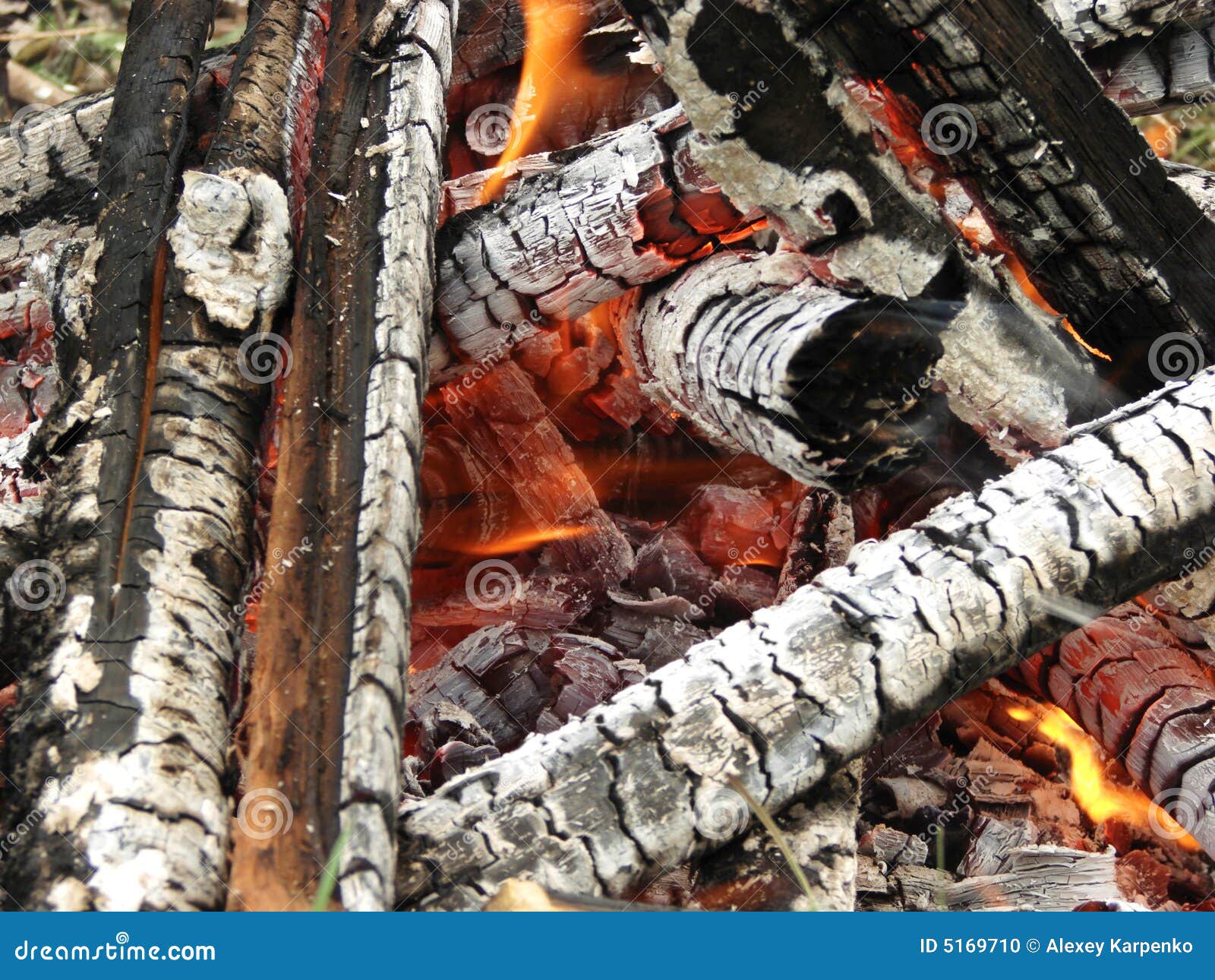 Fire wood burning closeup stock photo. Image of closeup - 5169710