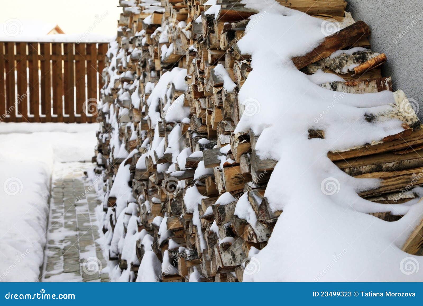 Fire wood for a fireplace stock image. Image of forestation - 23499323