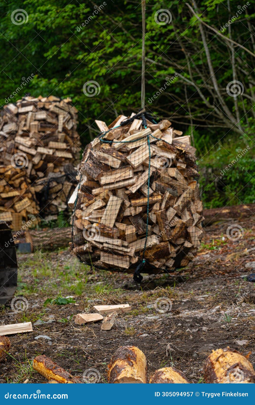 Fire Wood Packed in Sacks on PalletsFire Wood Packed in Sacks on ...