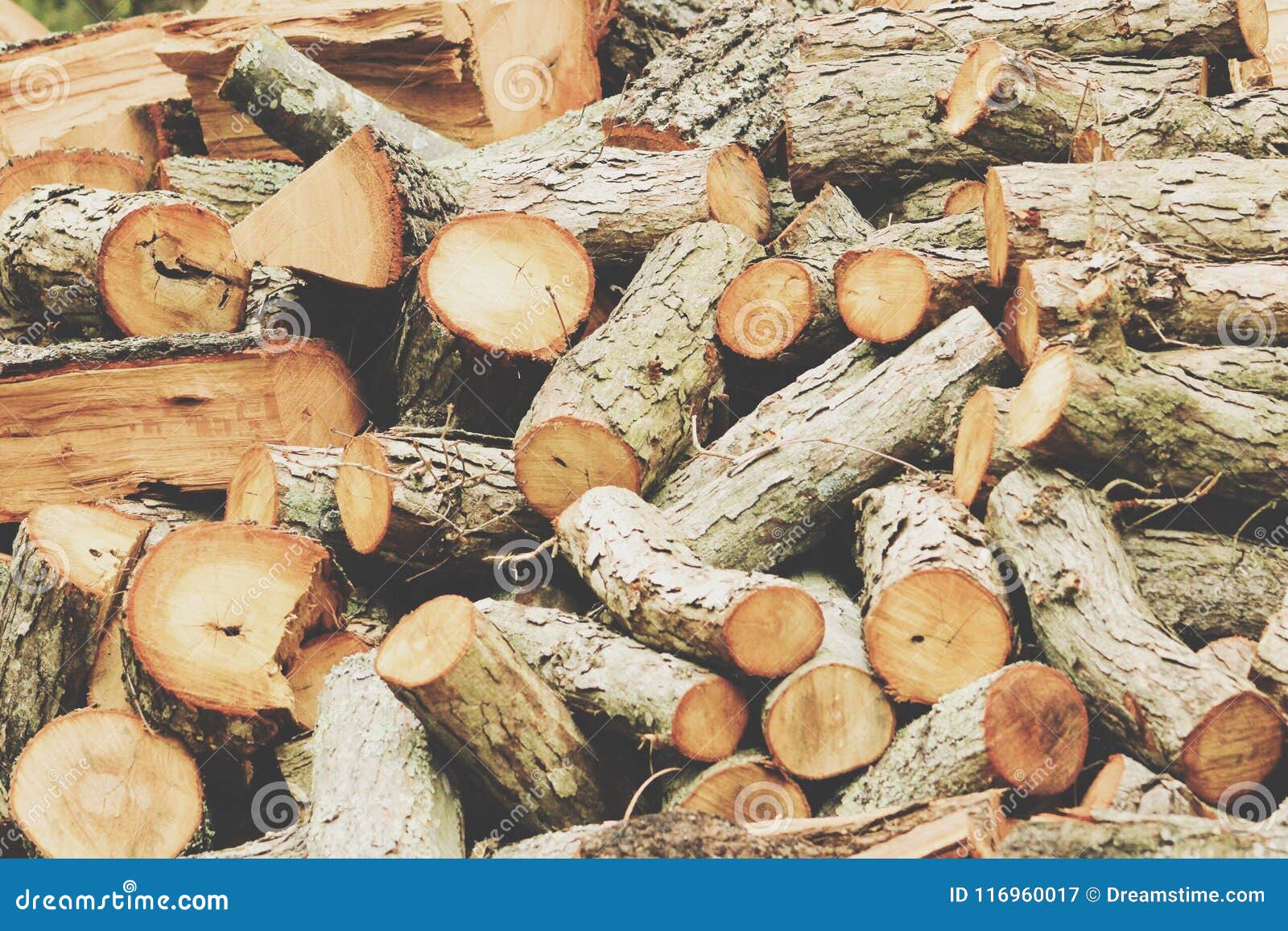 Fire Wood stock image. Image of pile, logs, fire, wood - 116960017