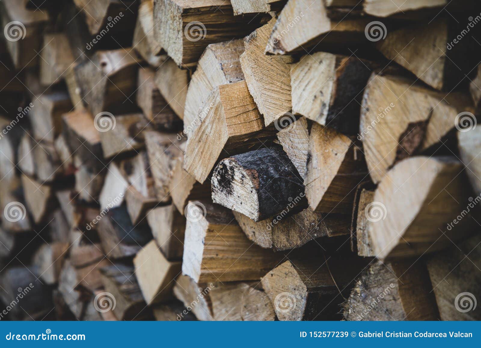 Fire Wooden Logs Front View Stock Image - Image of forestry ...