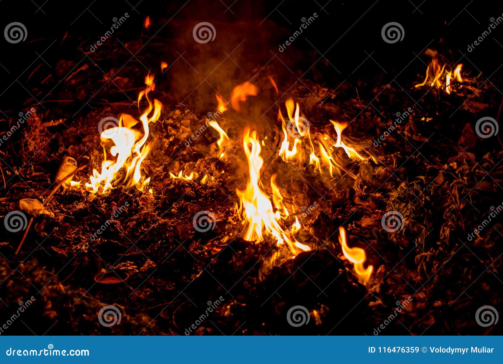 Fire in Woods at Night. Fire Burns Everything Around_ Stock Image ...