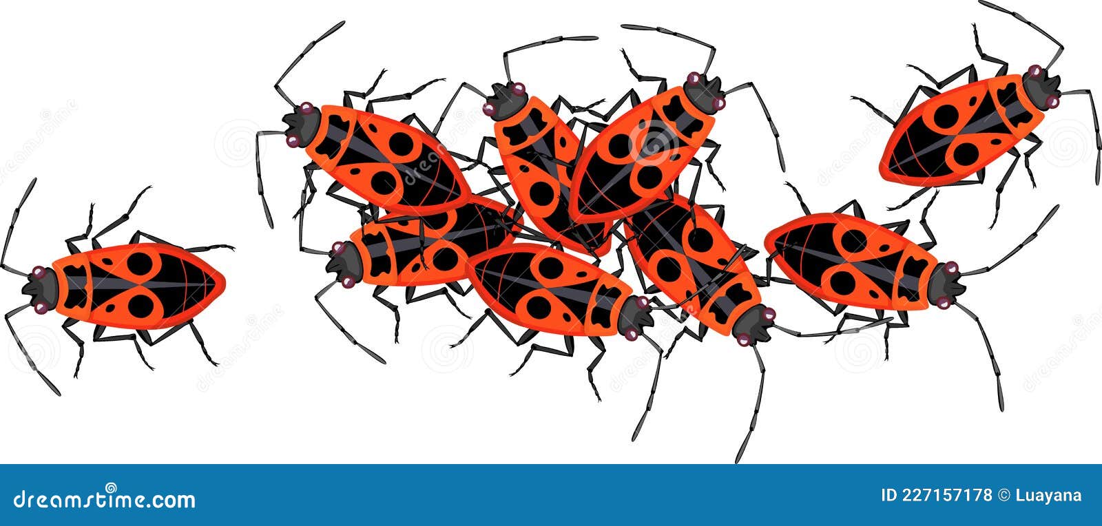 Firebugs Ilustrações, Vetores E Clipart De Stock – (9 Stock Illustrations)