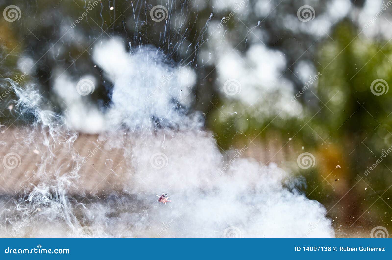 Firecracker explosion stock photo. Image of unsafe, blast - 14097138