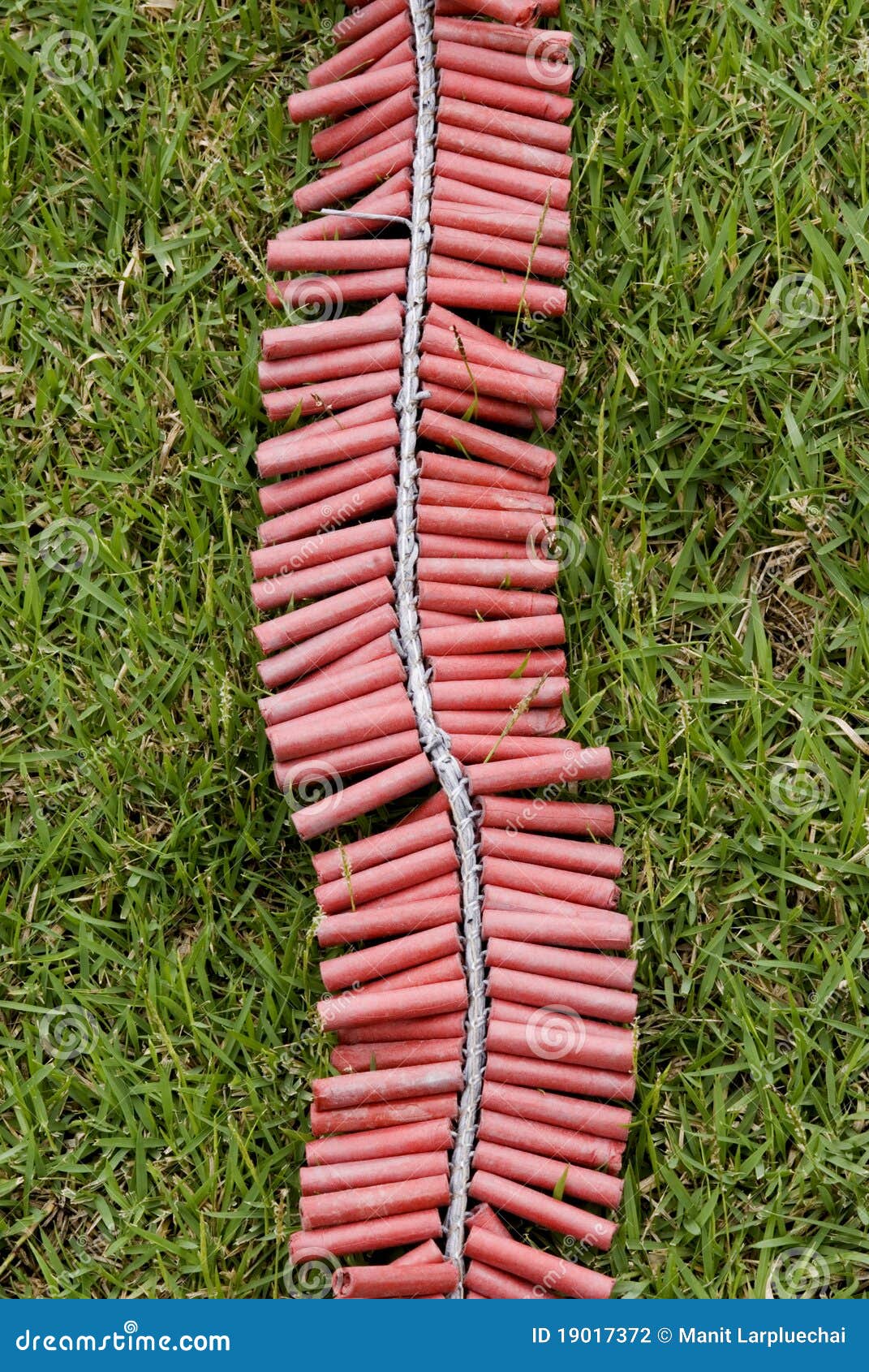 Firecrackers 5. stock photo. Image of festive, explosion - 19017372