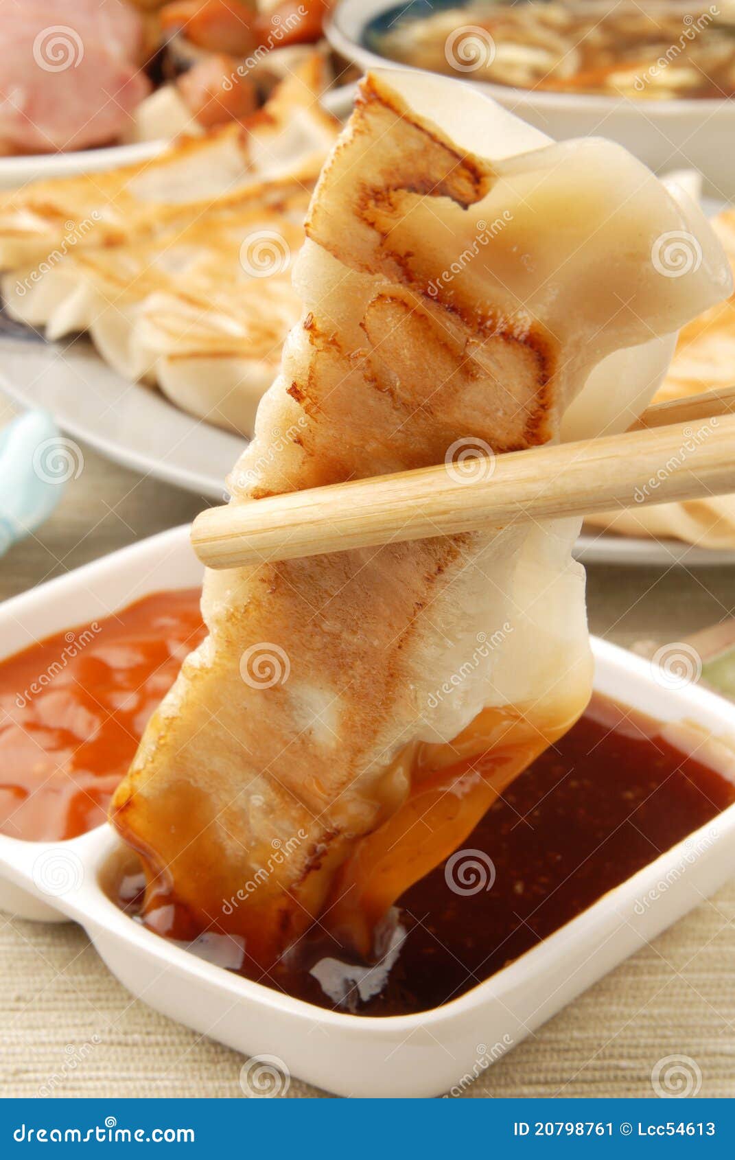 Fired Dumpling stock image. Image of dinner, ginger, cook - 20798761