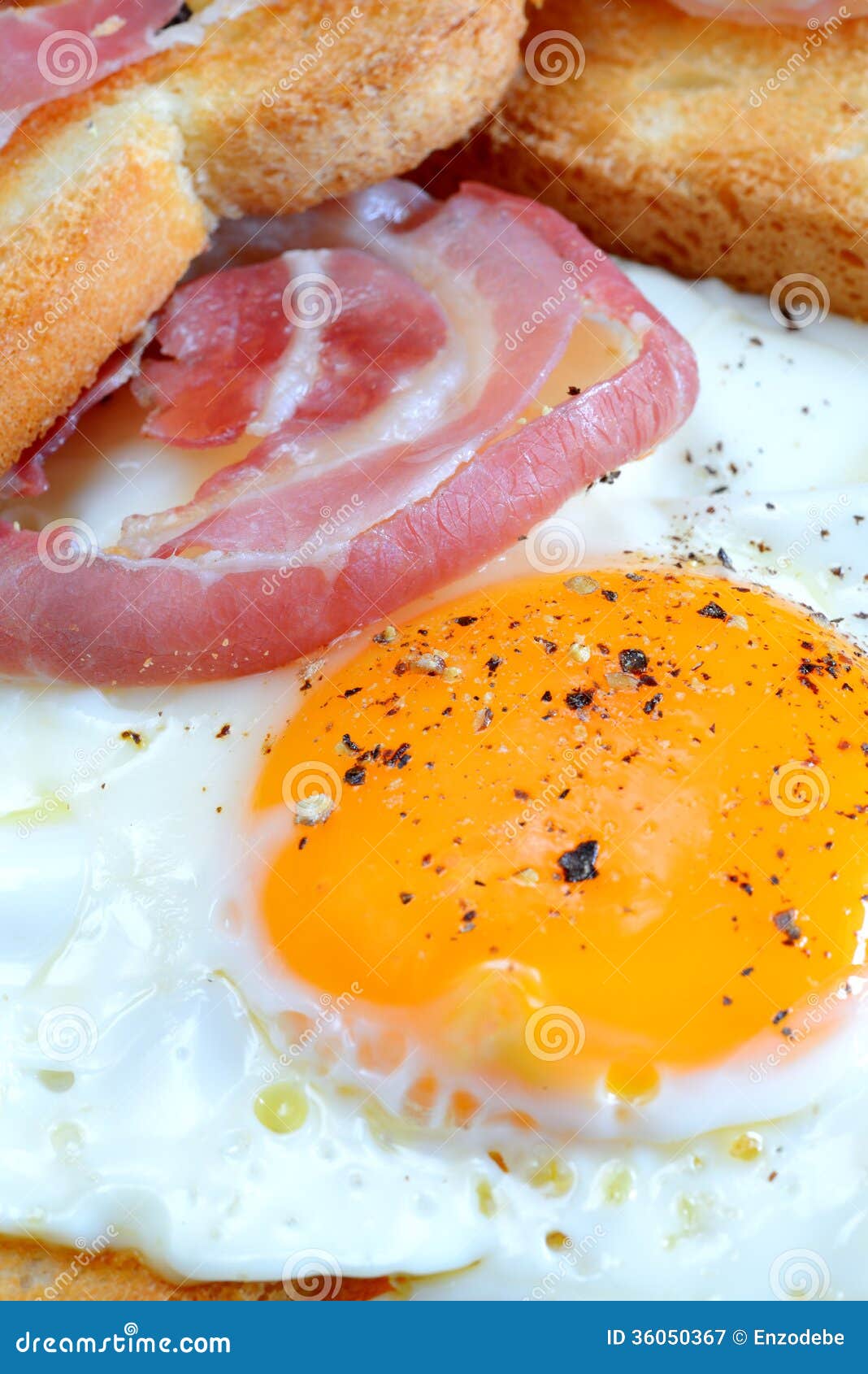 Fired egg with bacon stock image. Image of frying, bread - 36050367