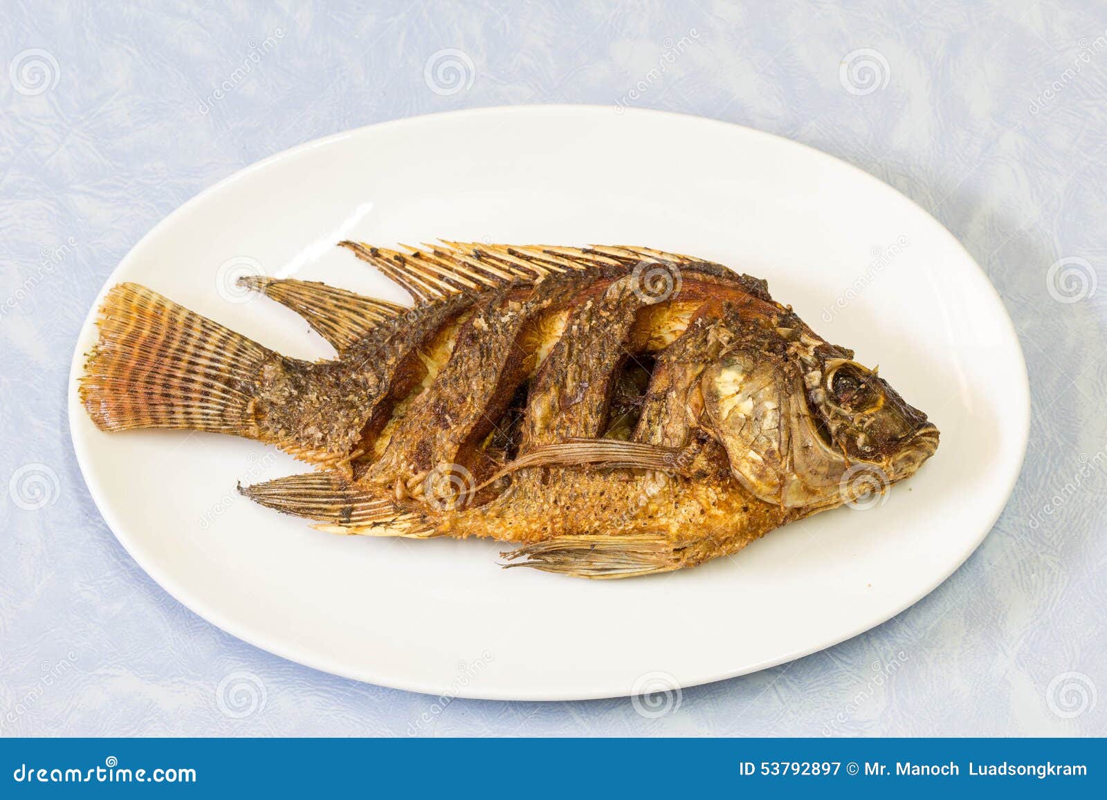 Fired fish stock image. Image of healthy, dish, kitchen - 53792897