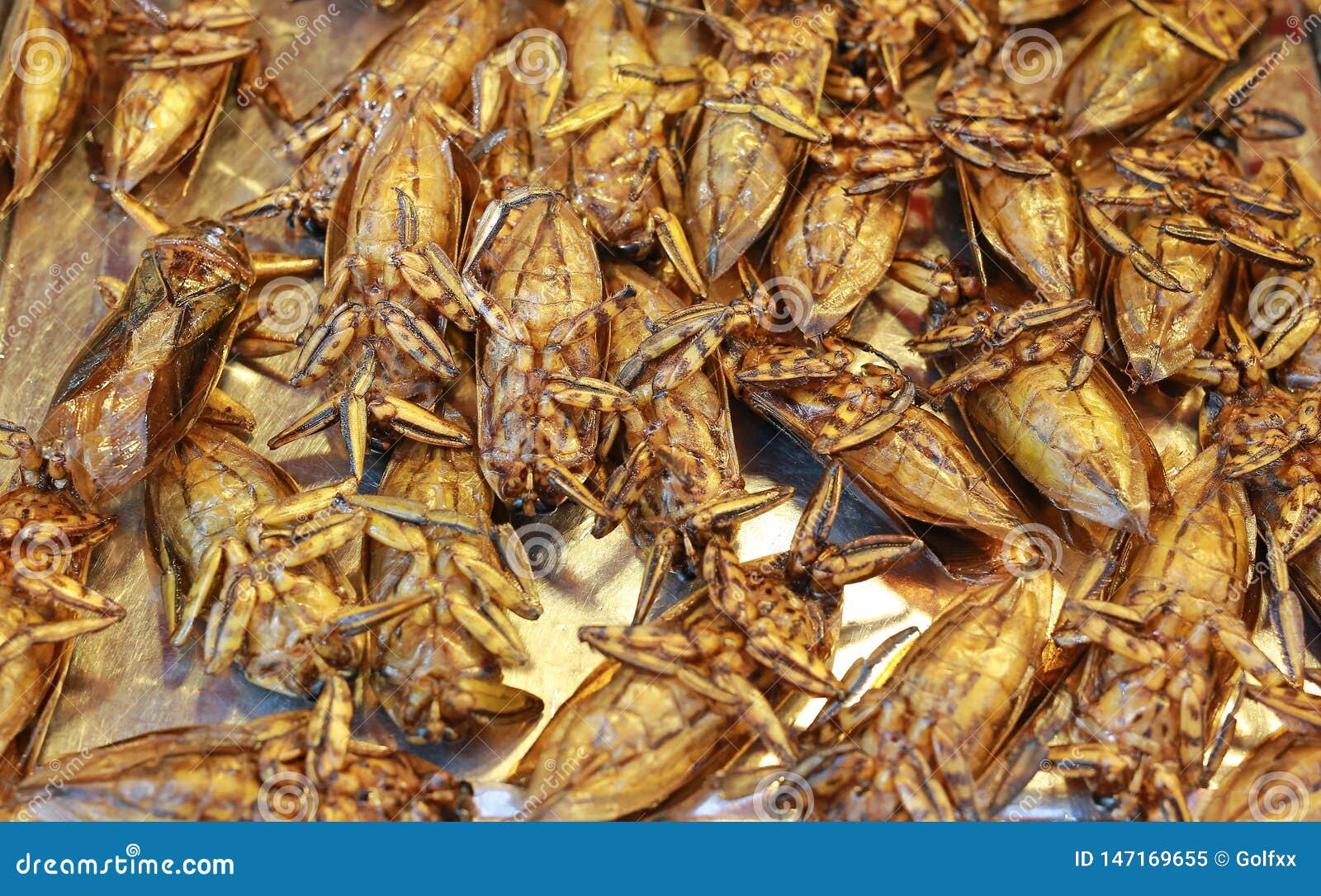 Fired Fresh Water Pimp As Snack in Asia Countries Stock Image - Image ...