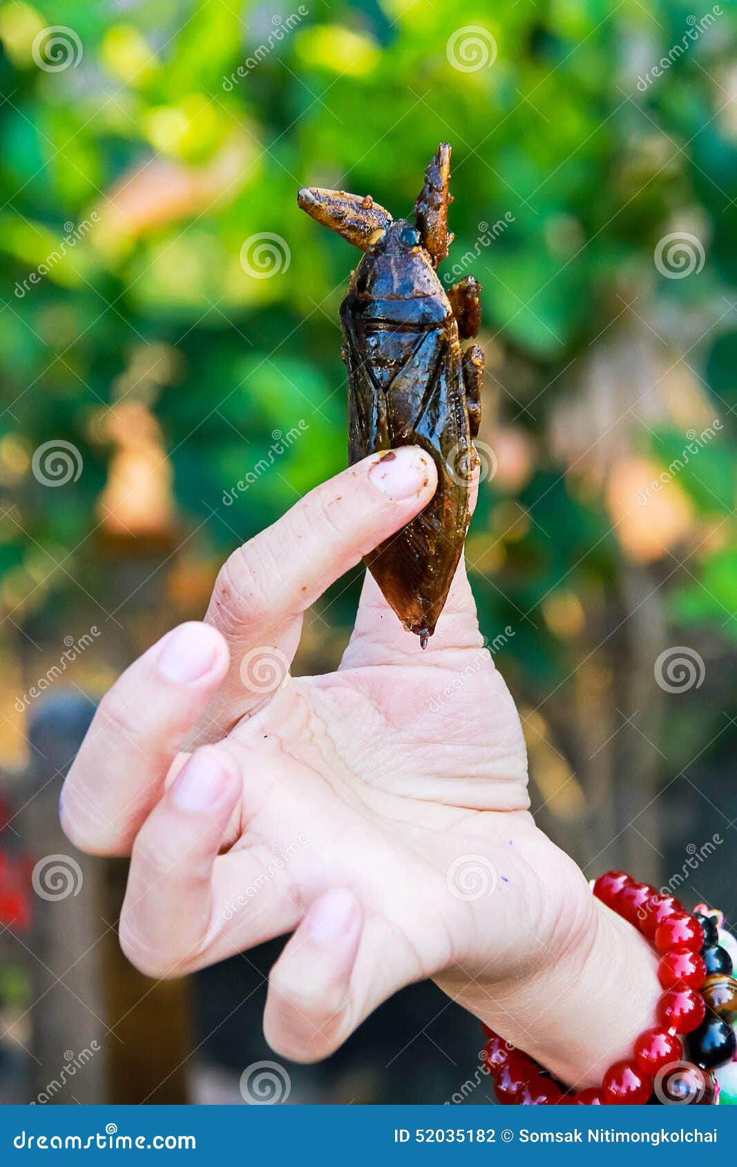 Fired Fresh Water Pimp in the Hands Stock Photo - Image of appetite ...