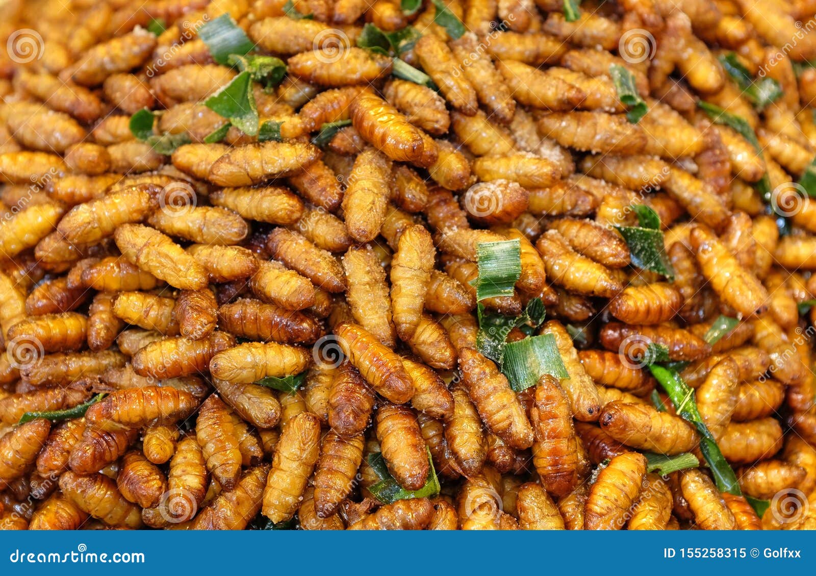 Fired Silk Worm As Snack in Asia Countries Stock Image - Image of ...