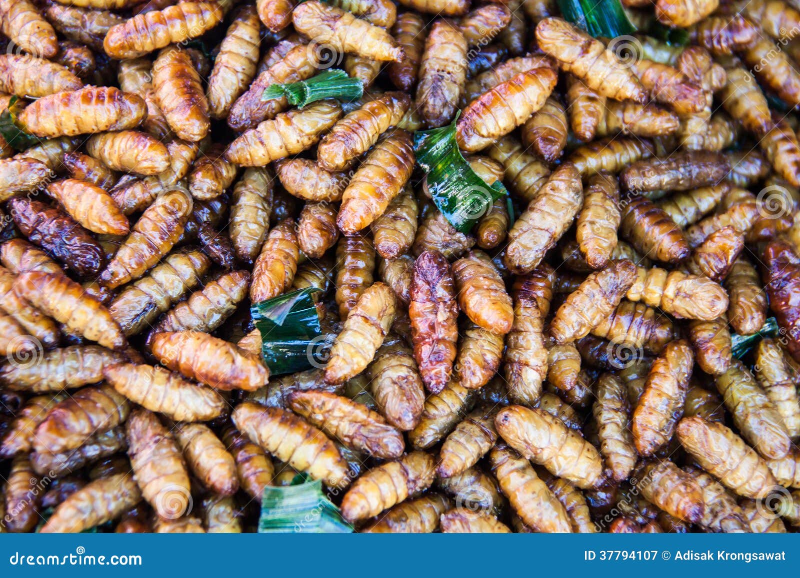 Fired Silk Worm As Snack in Asia Countries Stock Image - Image of ...