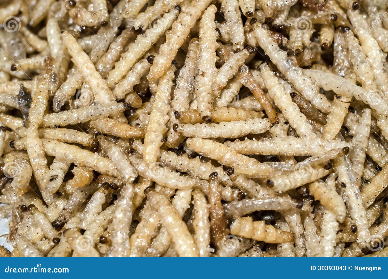 Fired Silk Worm As Snack in Asia Countries Stock Image - Image of ...