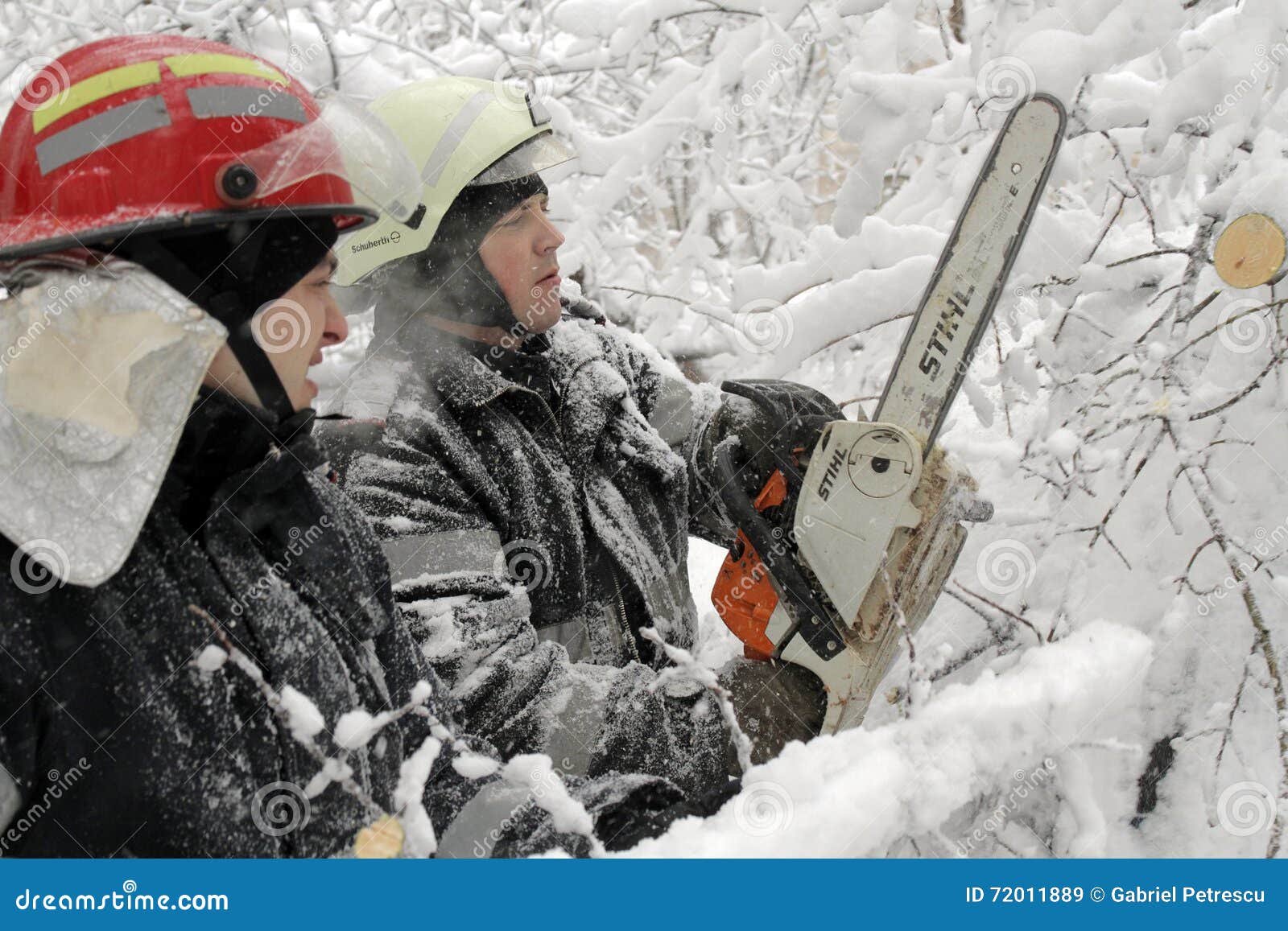 Firefighetrs are Cutting the Fallen Trees Editorial Stock Image - Image ...