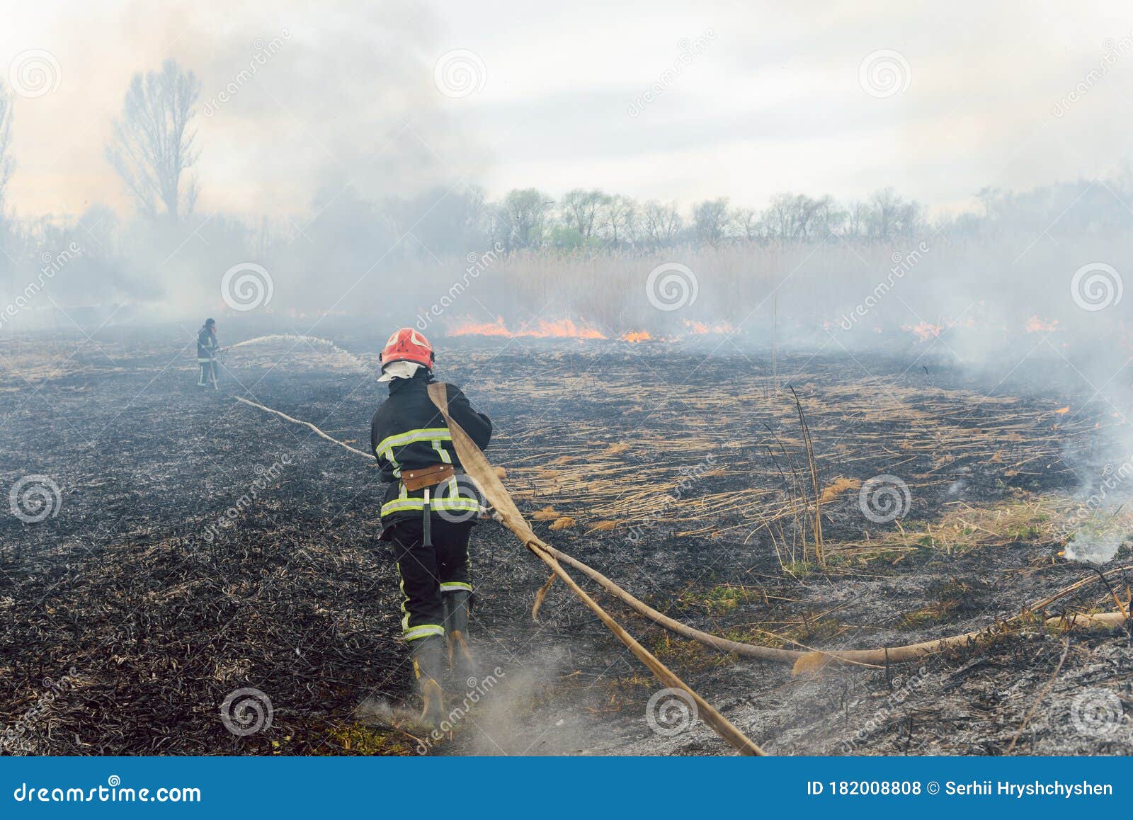 Firefighter Battle with the Wildfire. Firefighters are Training Stock ...