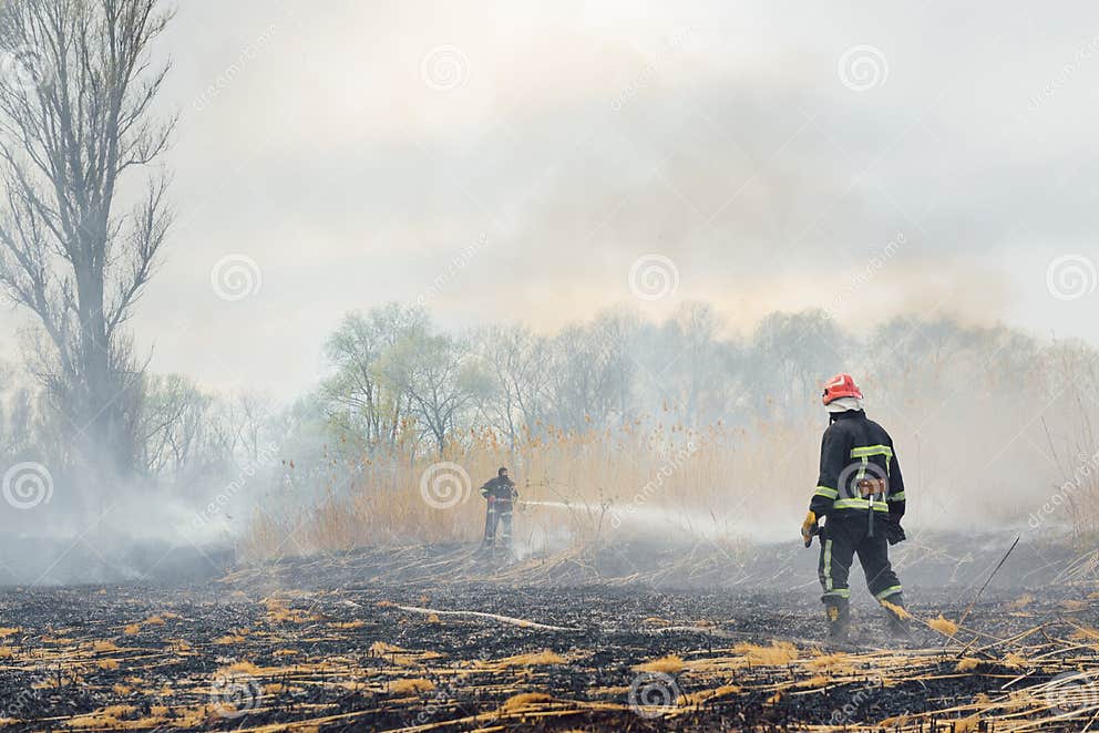 Firefighter Battle with the Wildfire. Firefighters are Training Stock ...