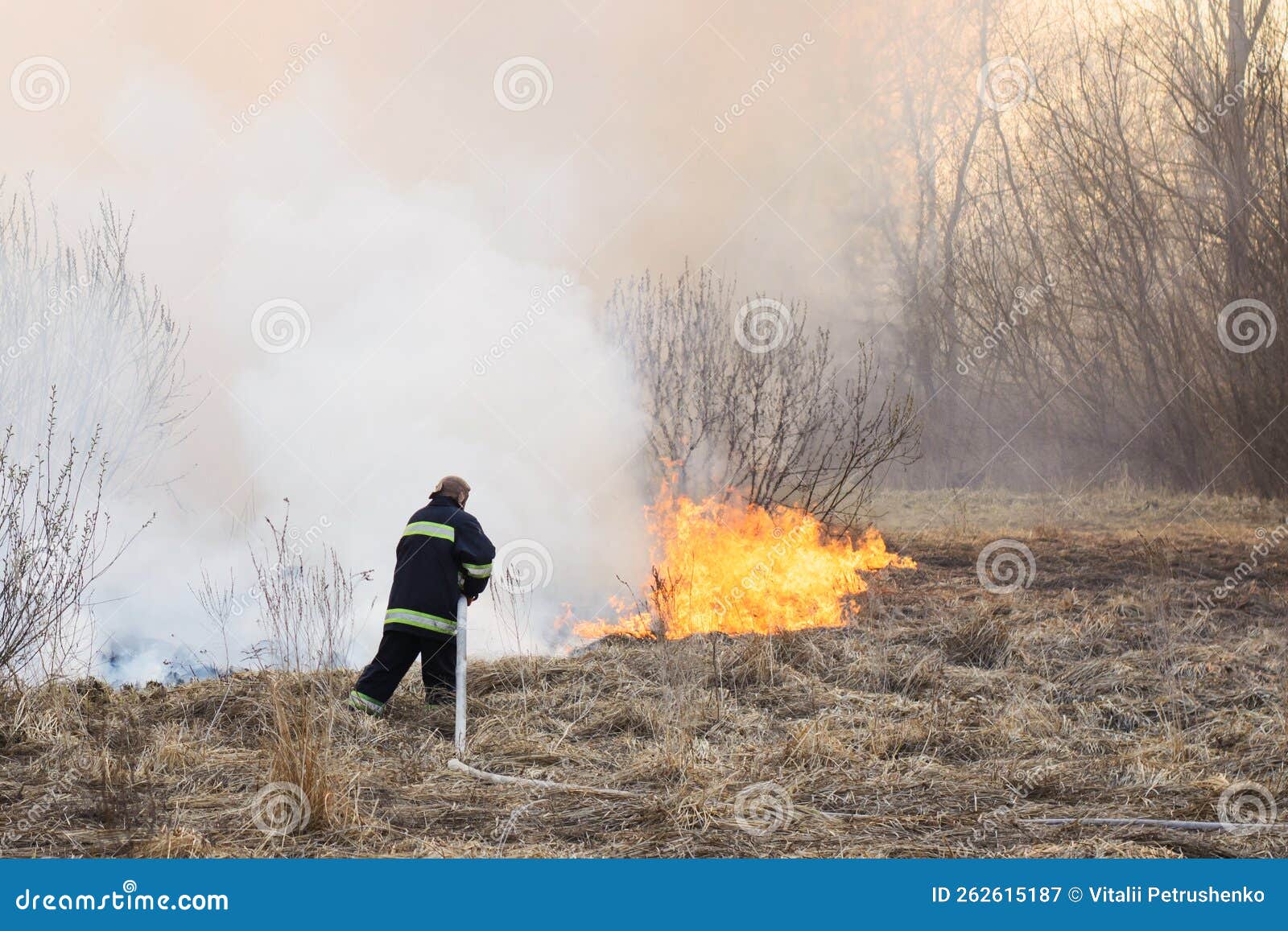Firefighter Battle With The Wildfire. Firefighters Are Training ...