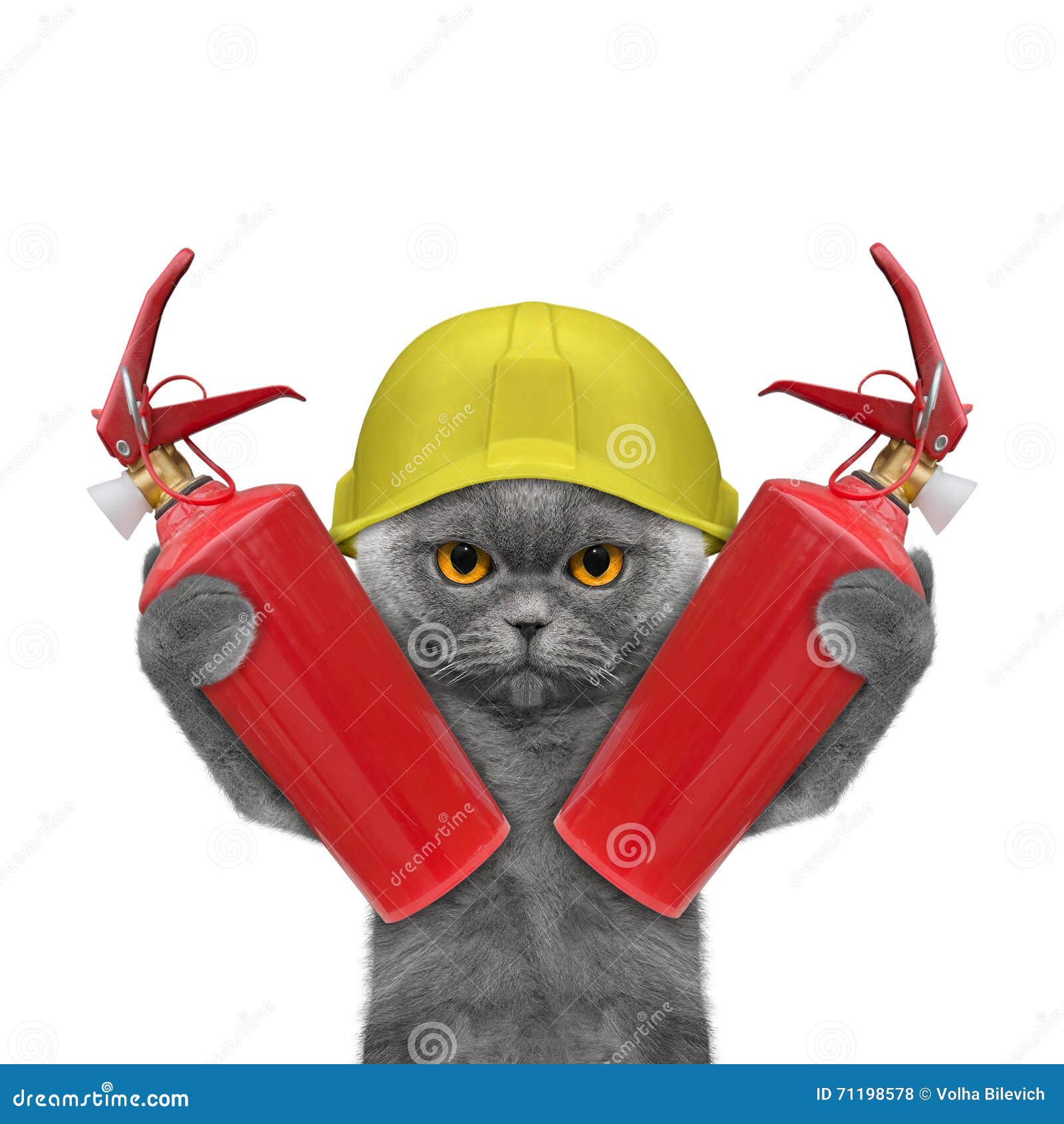 Firefighter Work Icon, Black Vector Sign With Editable Strokes, Concept ...