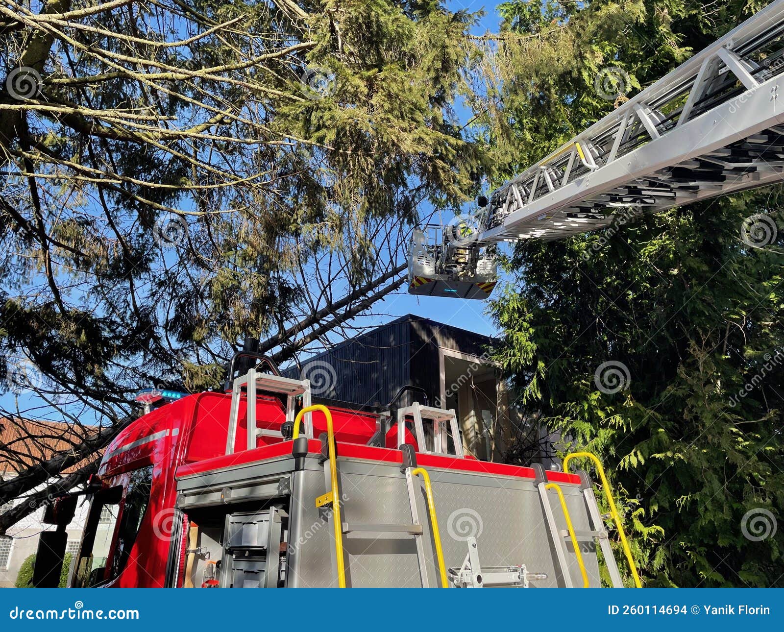 Firefighter in the Cradle of an Extended Ladder Cutting Down a Fallen ...