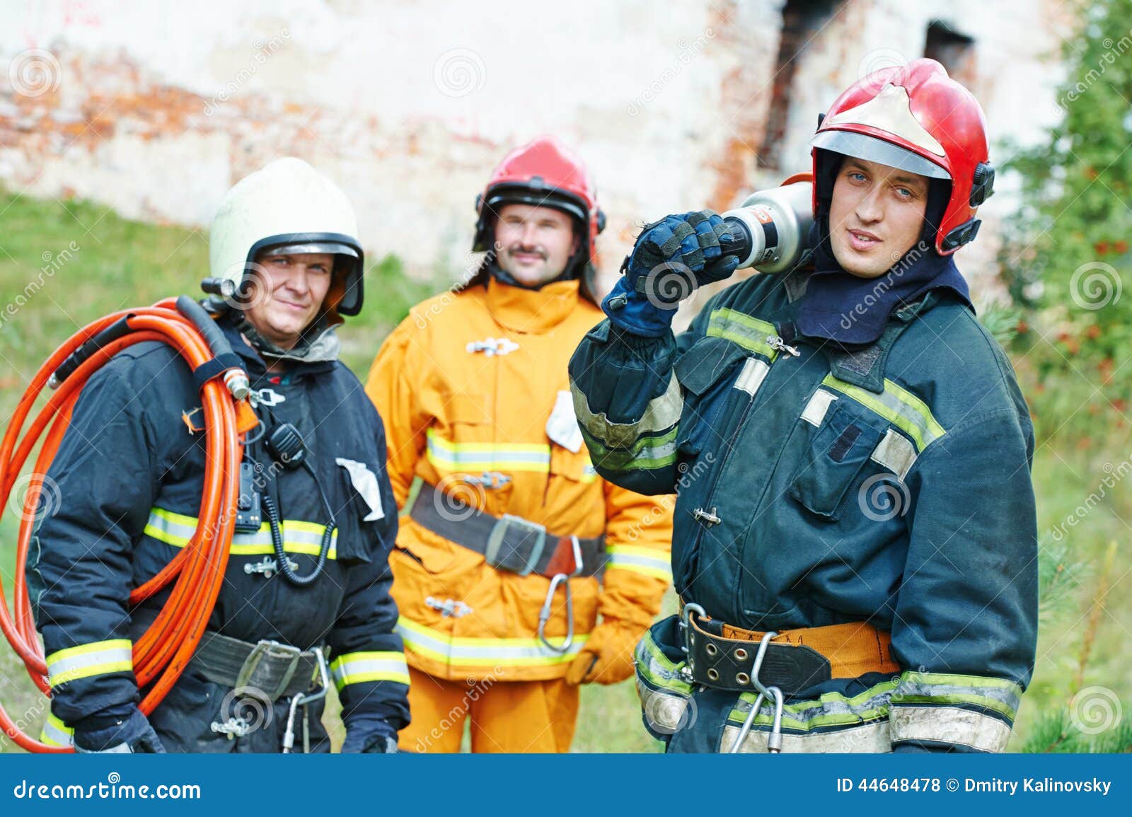 Firefighter crew stock photo. Image of safety, portrait - 44648478