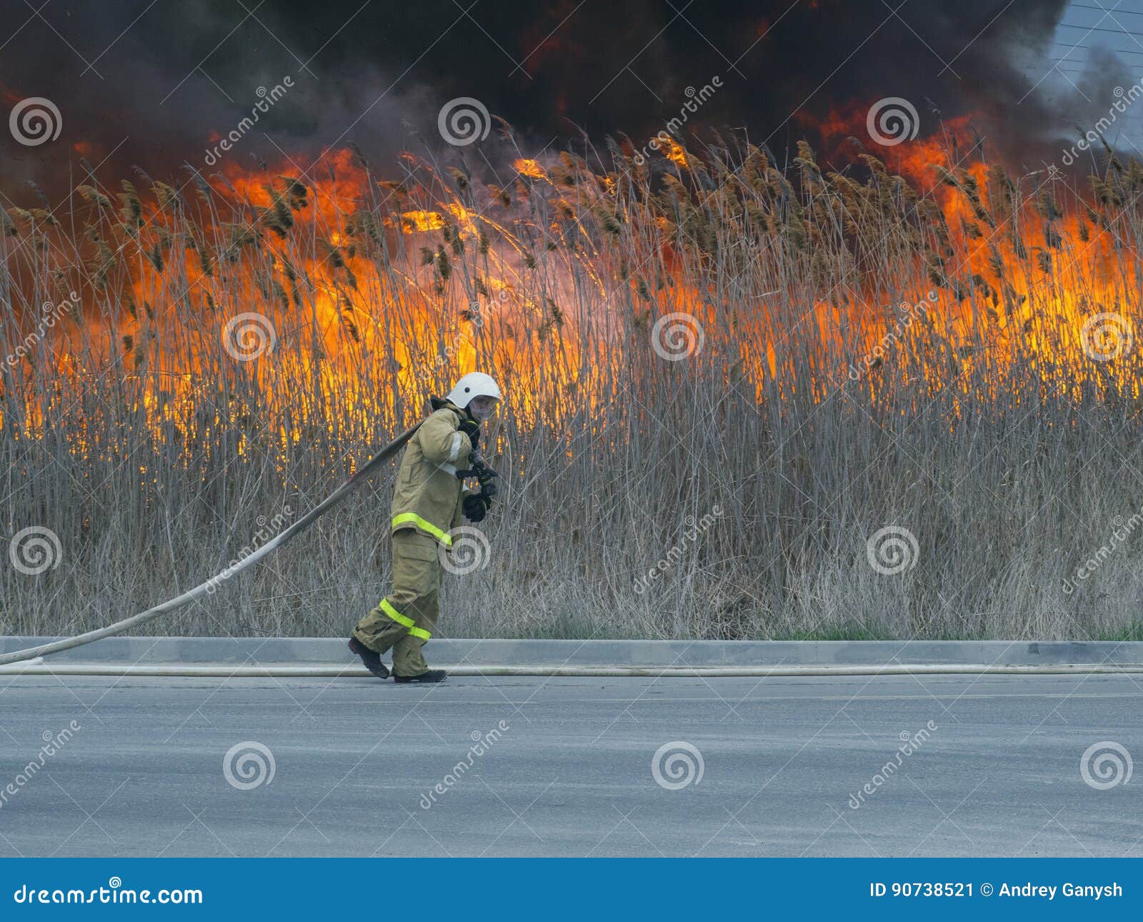 Firefighter Drags To the Fire a Heavy Hose Editorial Photo - Image of ...