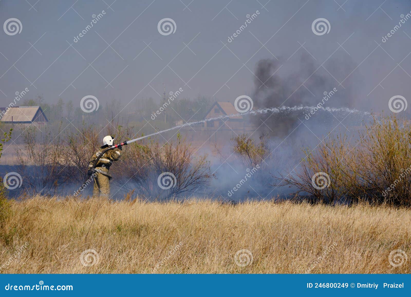 Firefighter Extinguishes Burning, Dry Grass from Fire Hose Stock Image ...