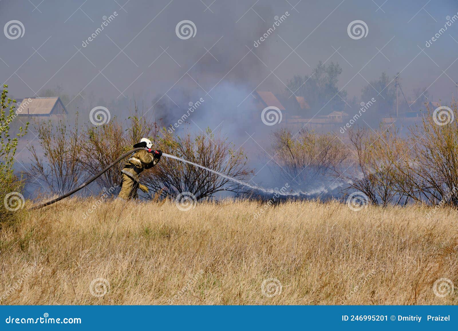 Firefighter Extinguishes Burning, Dry Grass from Fire Hose Stock Image ...