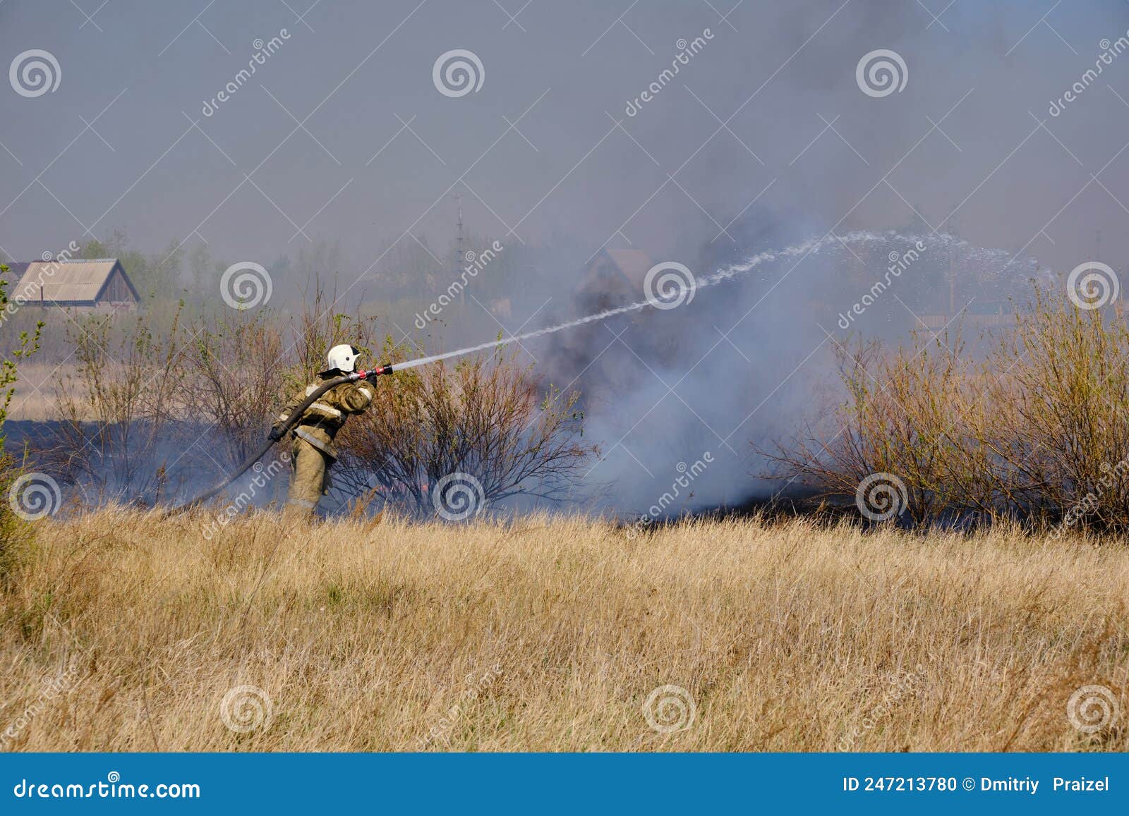 Firefighter Extinguishes Burning, Dry Grass from Fire Hose Stock Photo ...