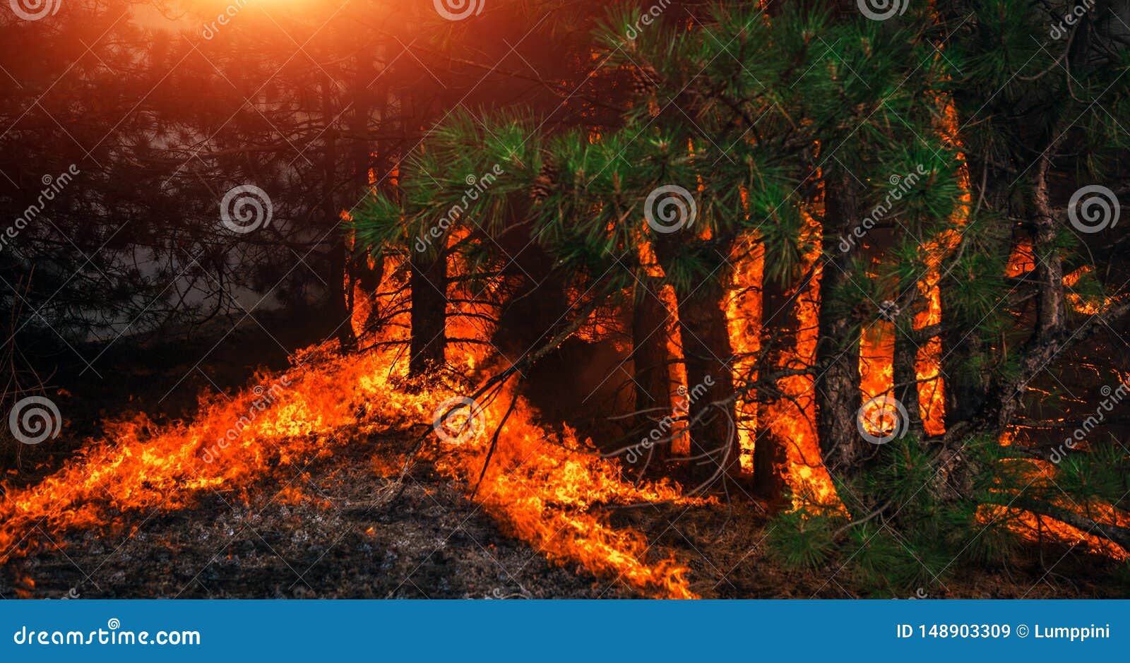 Firefighter Extinguishes at Sunset Stock Image - Image of equipment ...