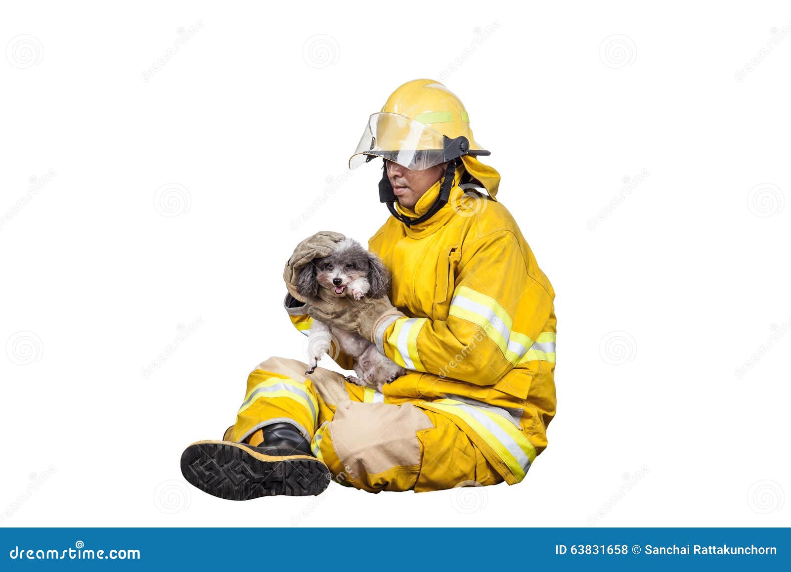 Firefighter Rescue Dog