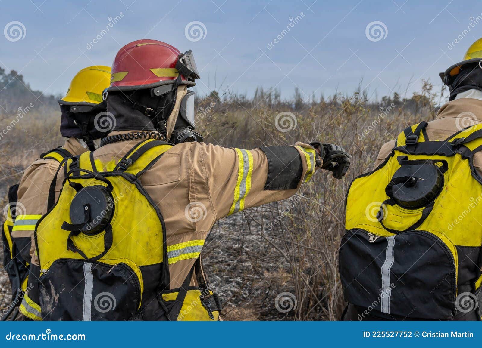 Firefighter Giving Instructions on How To Attack the Forest Fire Stock ...