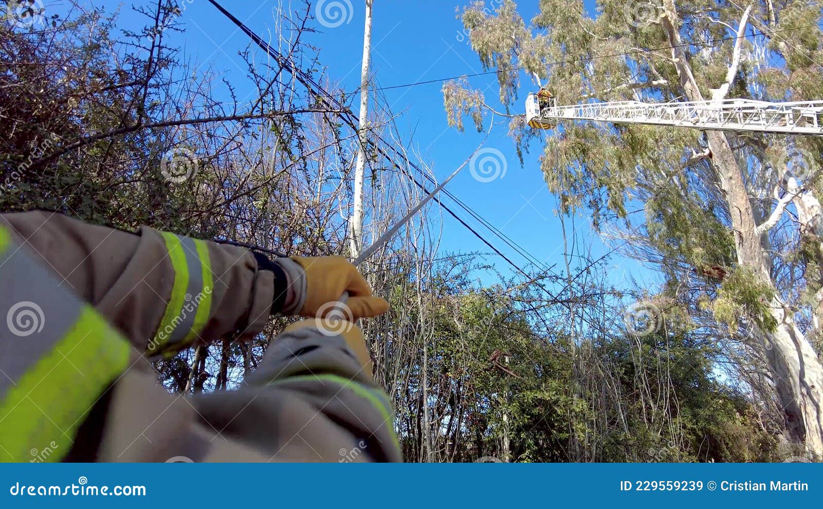 Firefighter Hands Grabbing Rope in Tree Rescue Stock Video - Video of ...