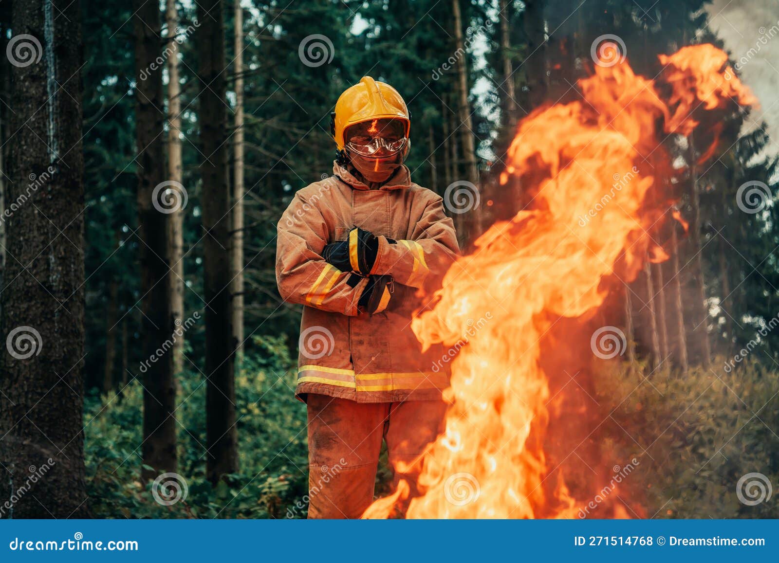 Firefighter at Job. Firefighter in Dangerous Forest Areas Surrounded by ...
